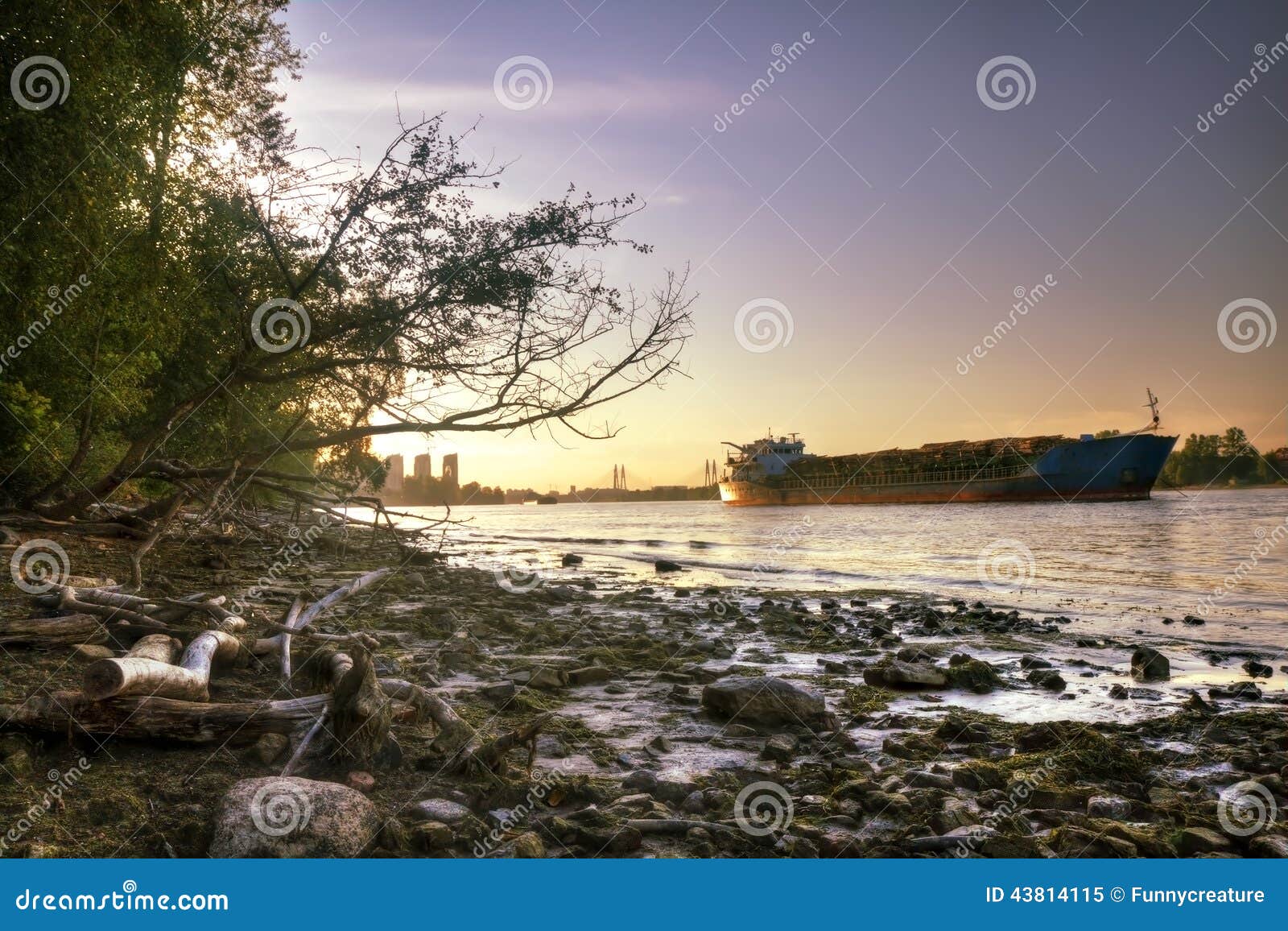 Ship Carrying Logs (in High Dynamic Range) Stock Image - Image of heavy ...