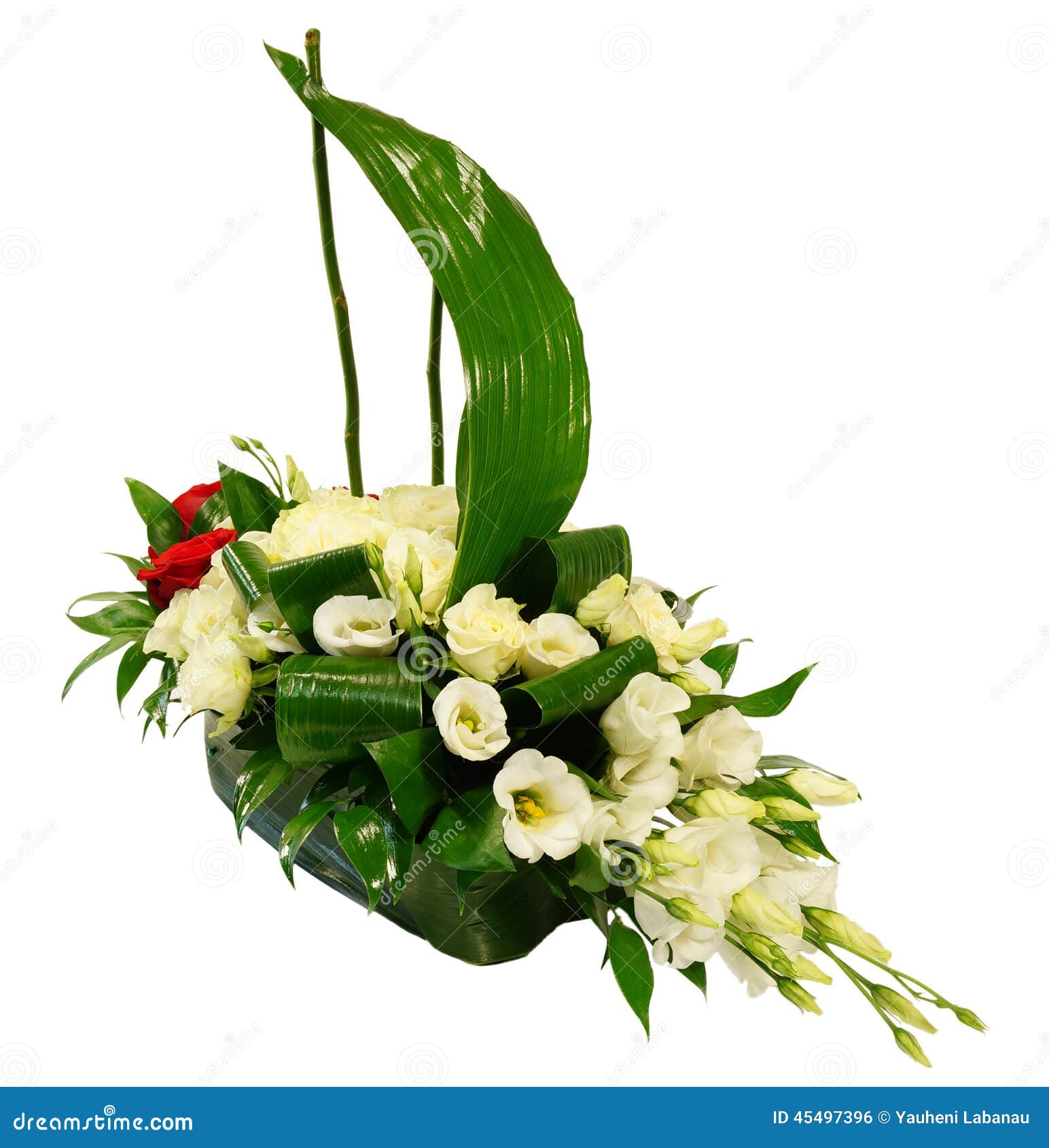 Shipofflowers Stock Photos - Free & Royalty-Free Stock Photos from ...