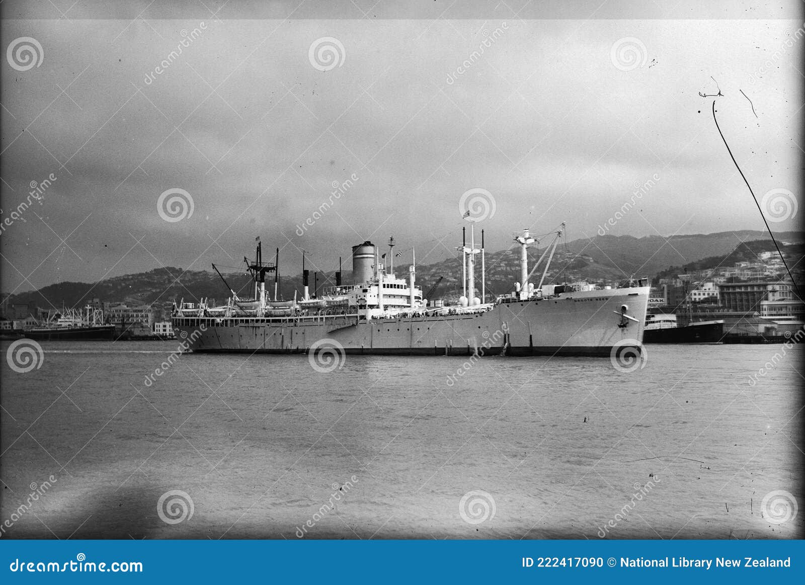 Ship Groote Beer, Ca 1950s Picture. Image: 222417090