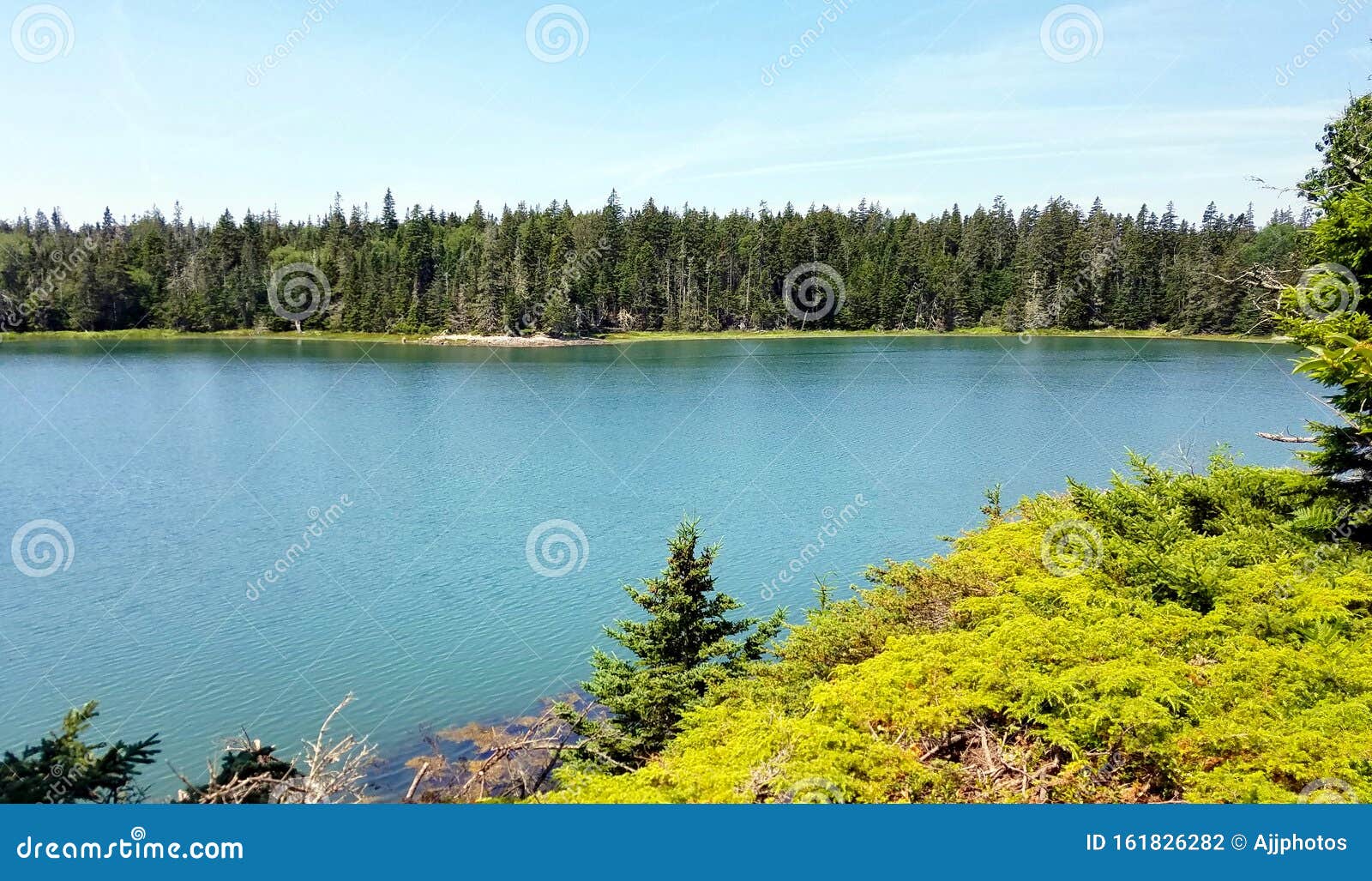 Ship Harbor in Acadia National Park - Maine Stock Photo - Image of ...