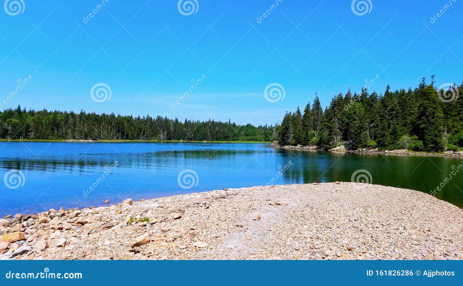 Ship Harbor in Acadia National Park - Maine Stock Photo - Image of ...