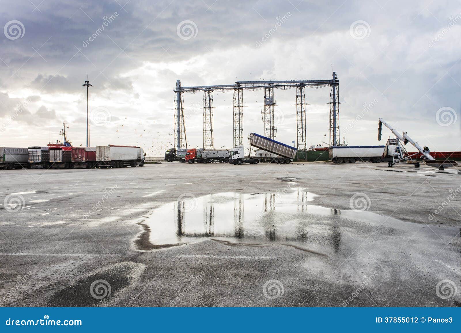Loading Grain By Trucks Onto The Elevator Into Metal Containers Stock ...
