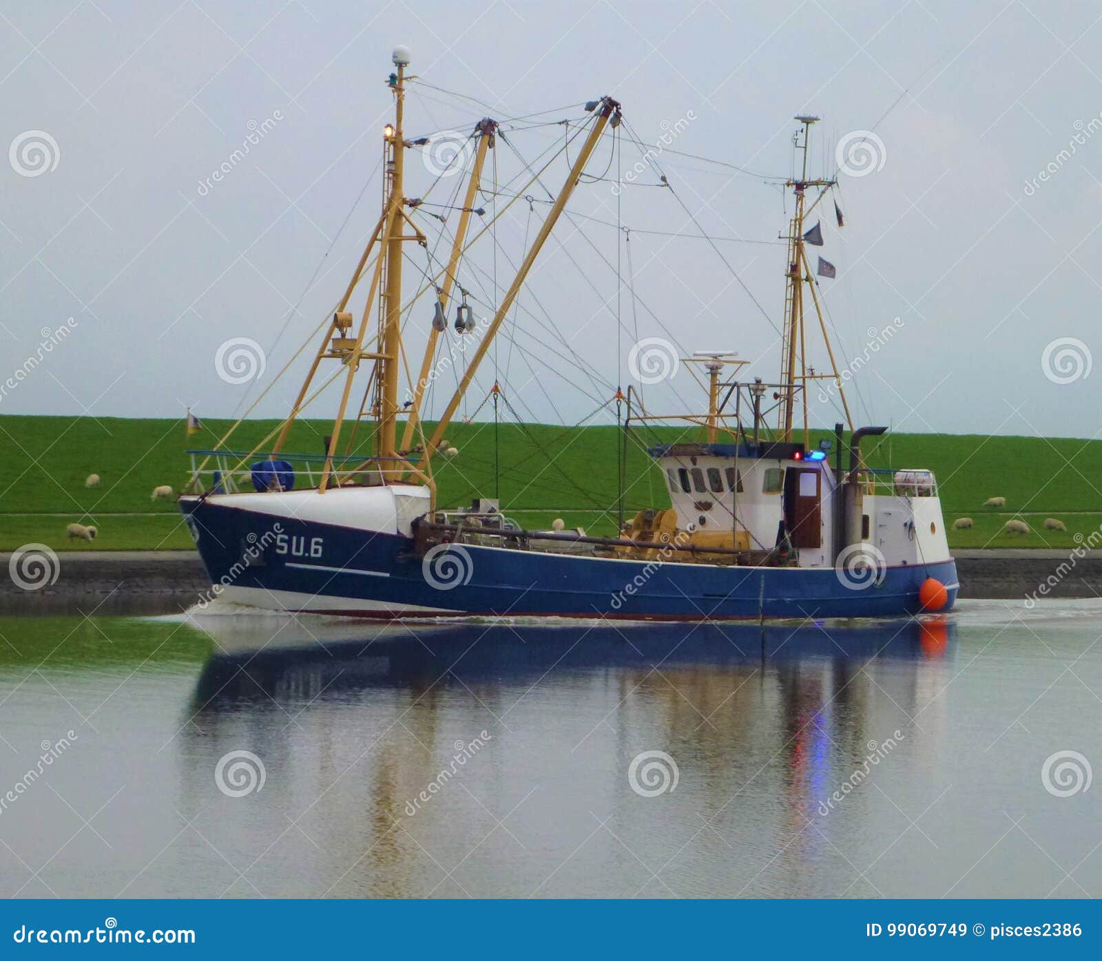 A Ship and a Meadow with Sheep Editorial Stock Image - Image of evening ...