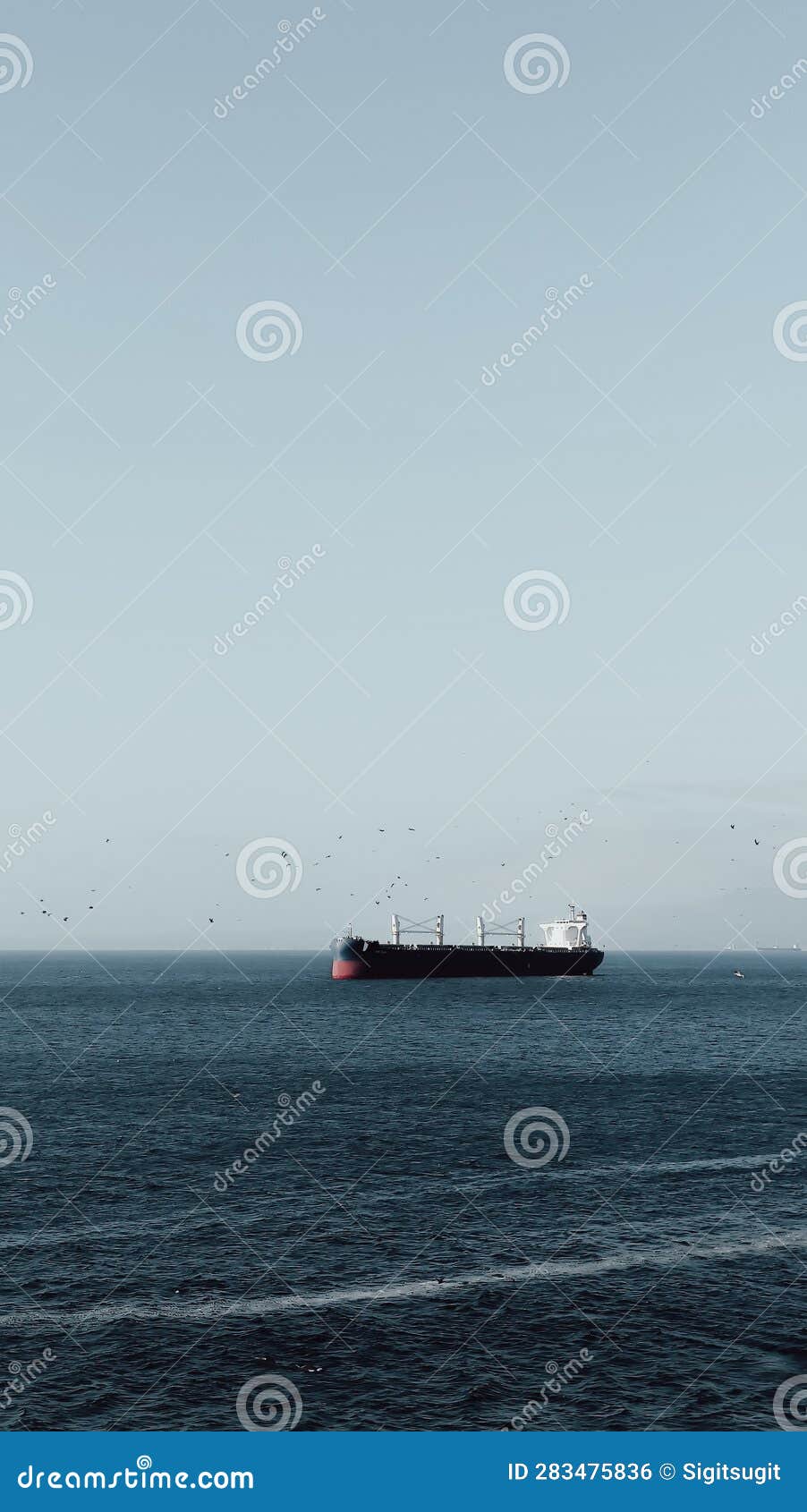 Ship potrait in the sea stock photo. Image of bird, ship - 283475836