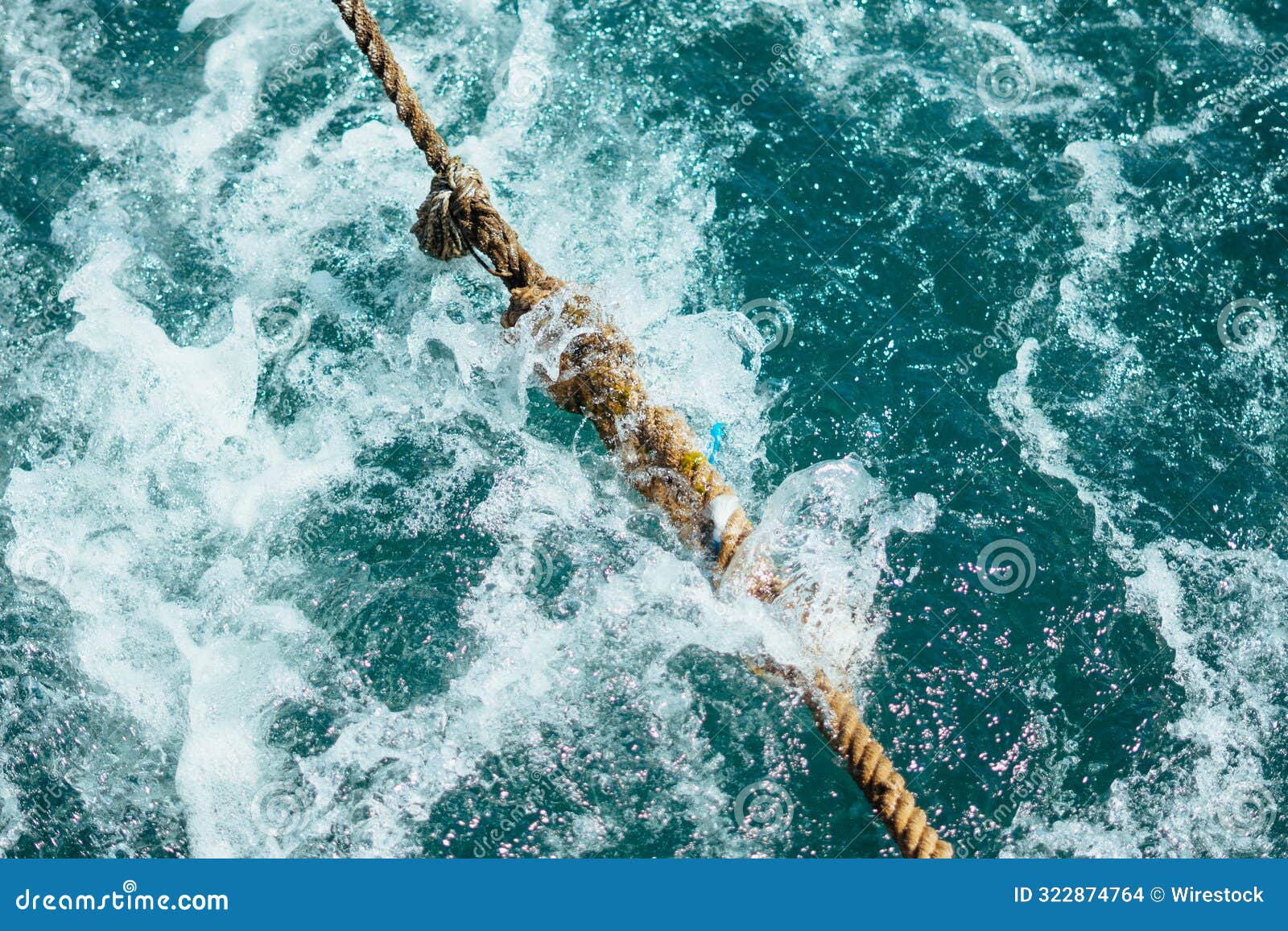Ship Rope Floating in the Water. Stock Photo - Image of snarled ...