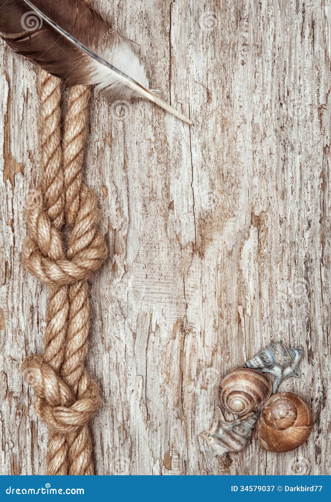 Ship Rope, Shells, Feather and Old Wood Border Stock Image - Image of ...