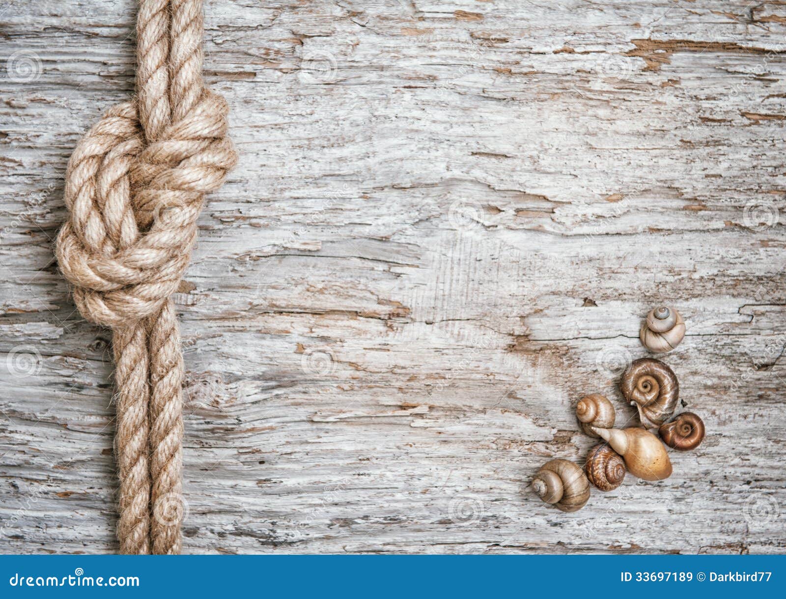 Ship Rope, Shells and Wood Background Stock Image - Image of plank ...