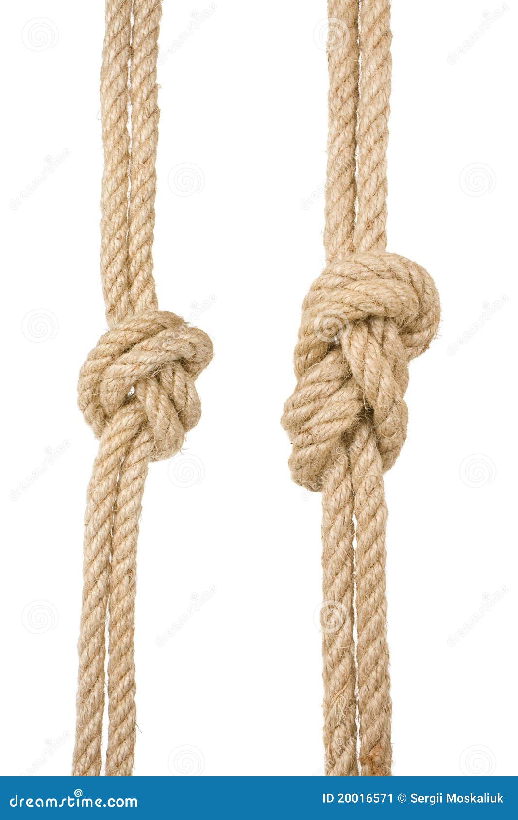 Ship Ropes with a Knot Isolated Stock Image - Image of lasso, piece ...