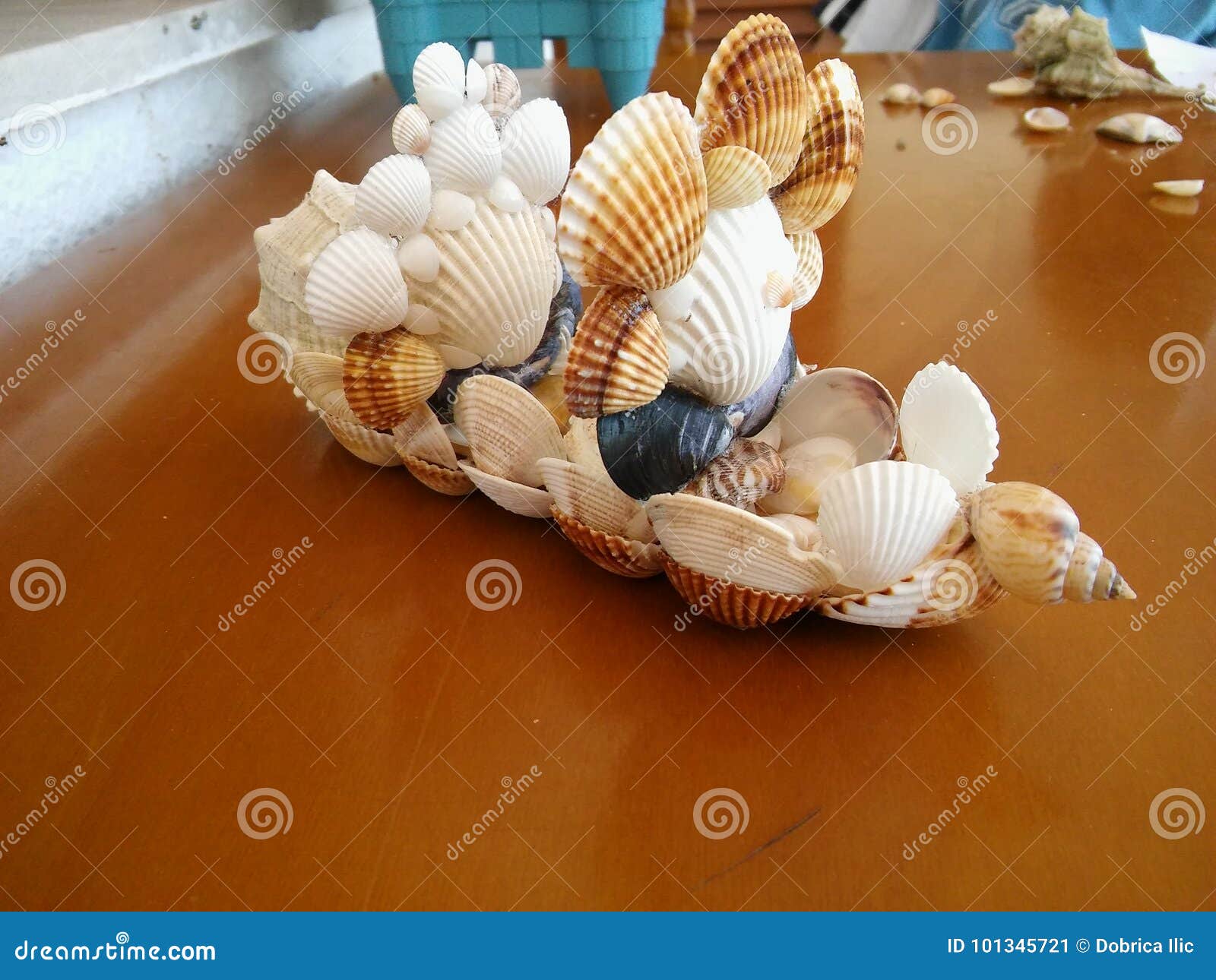Ship shell stock image. Image of nature, toys, ship - 101345721