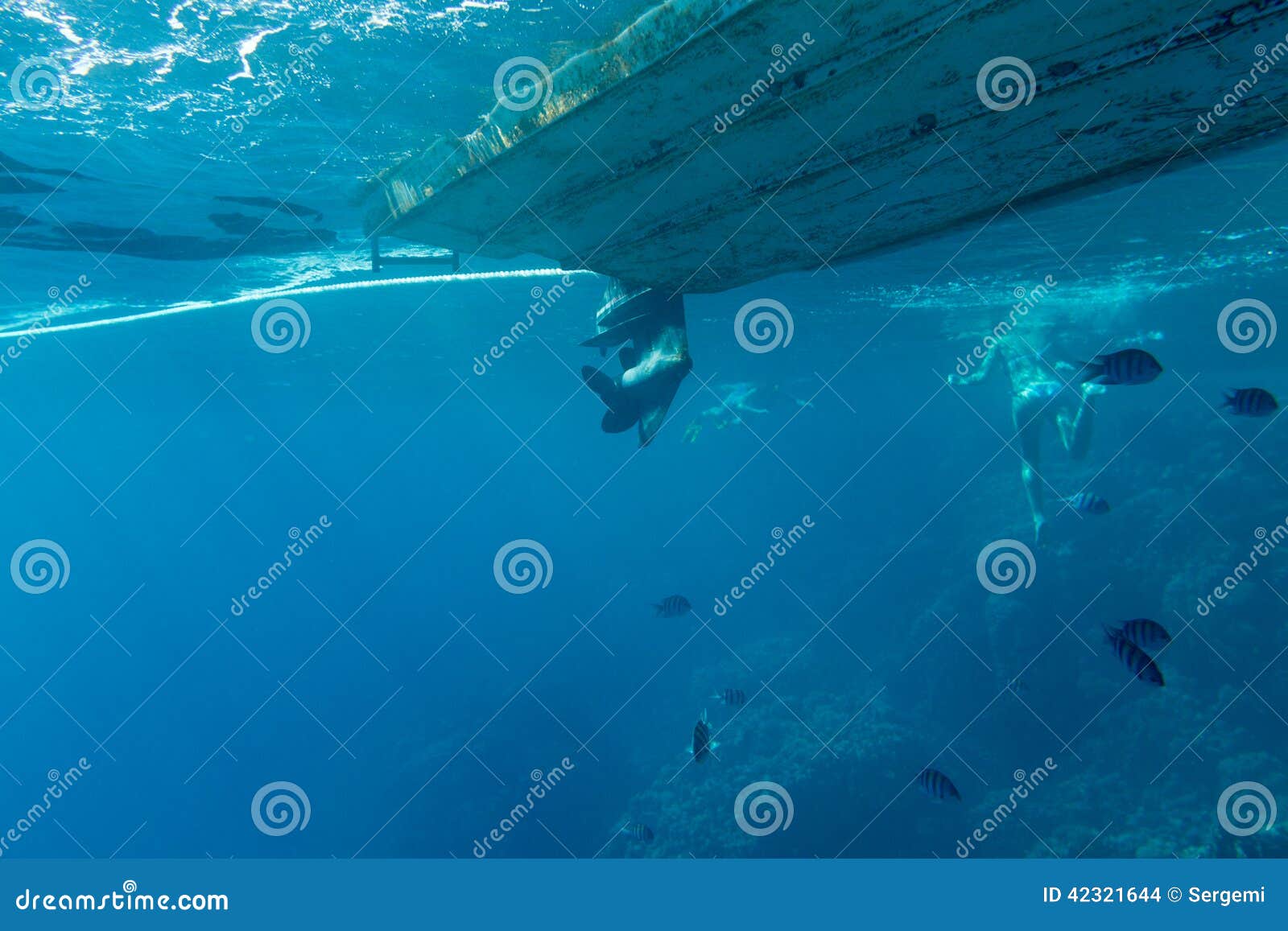 Ship shot out of the water stock photo. Image of motorboat - 42321644