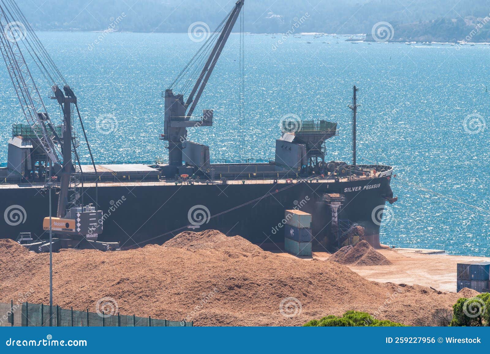 Ship Silver Pegasus in the Process of Unloading Wood Chips in the Port ...