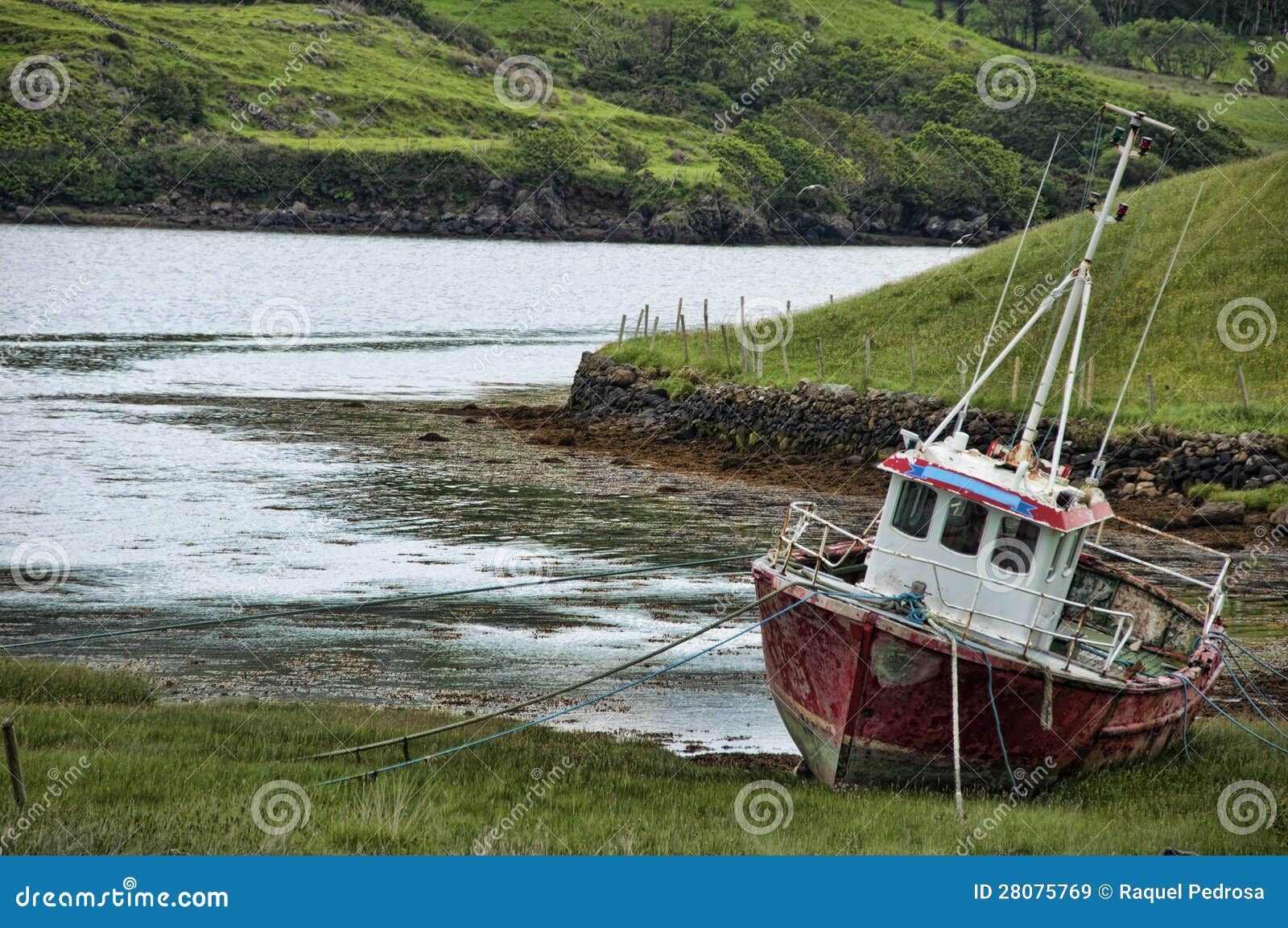 Ship stranded stock image. Image of ship, ireland, green - 28075769