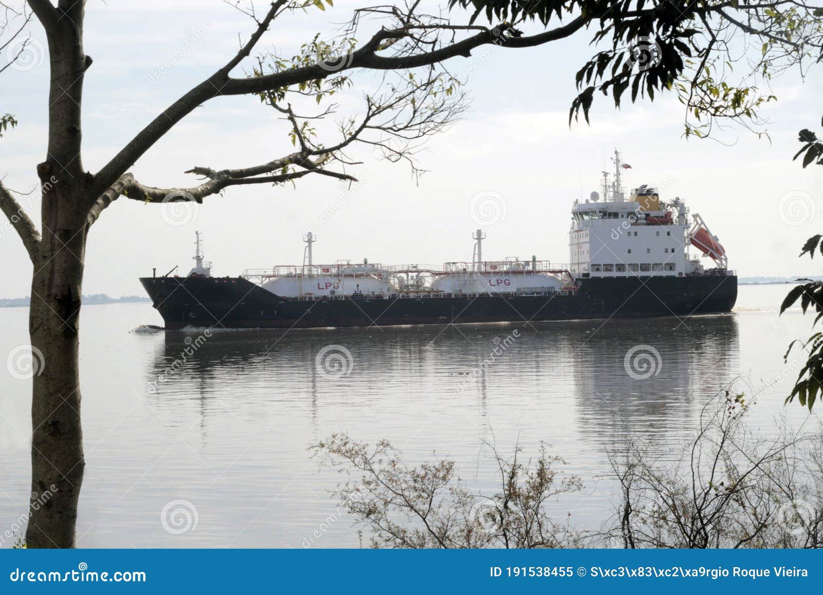 SHIP between the TREES editorial image. Image of bench - 191538455