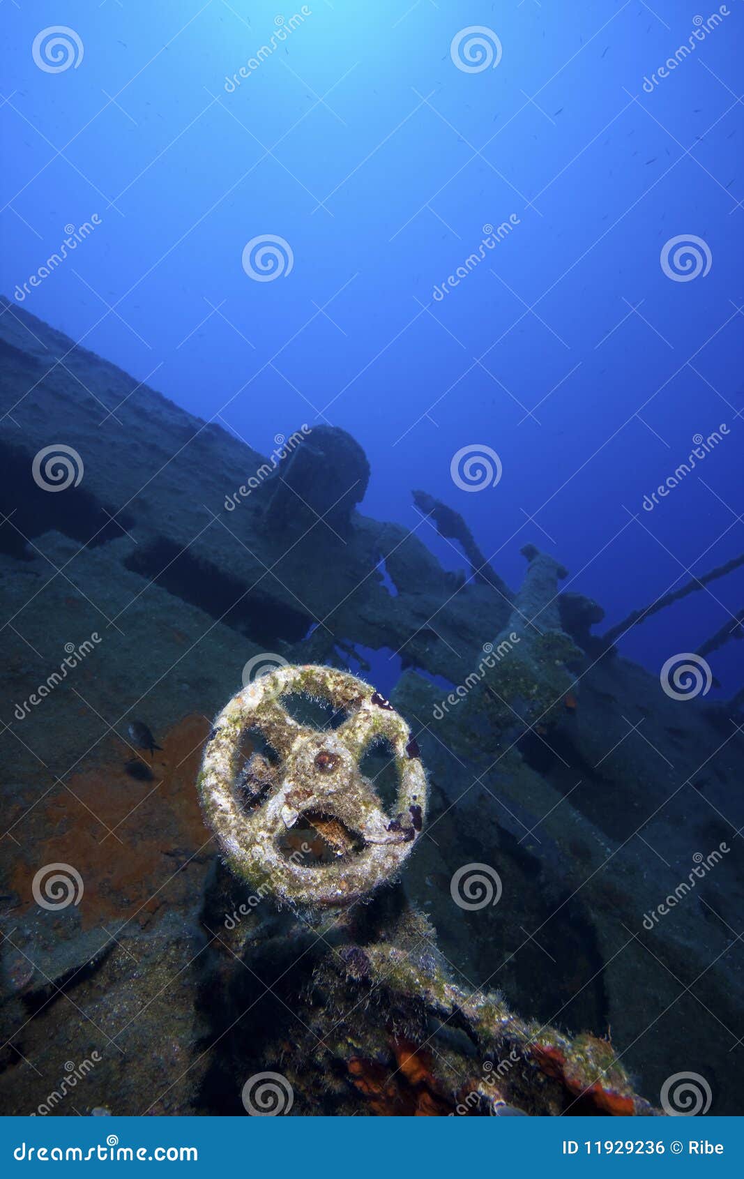 Ship underwater stock photo. Image of blue, saltwater - 11929236