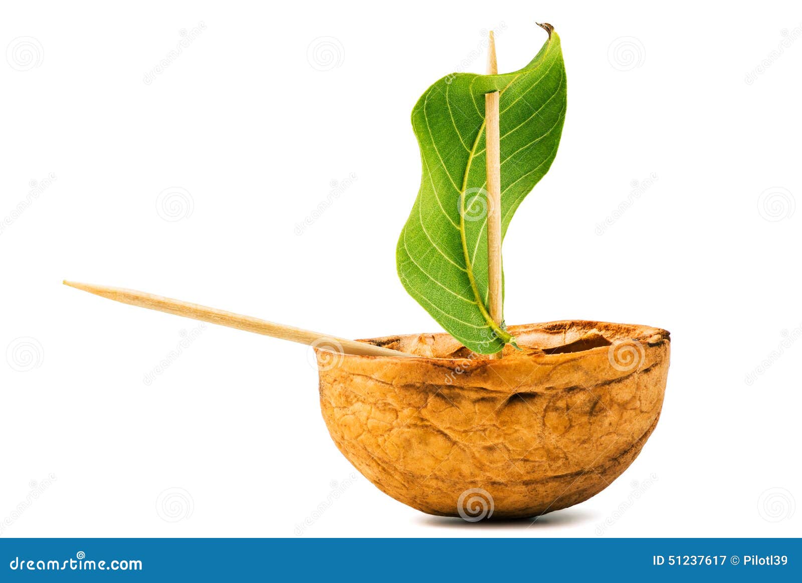 Ship walnut stock image. Image of sailboat, transportation - 51237617