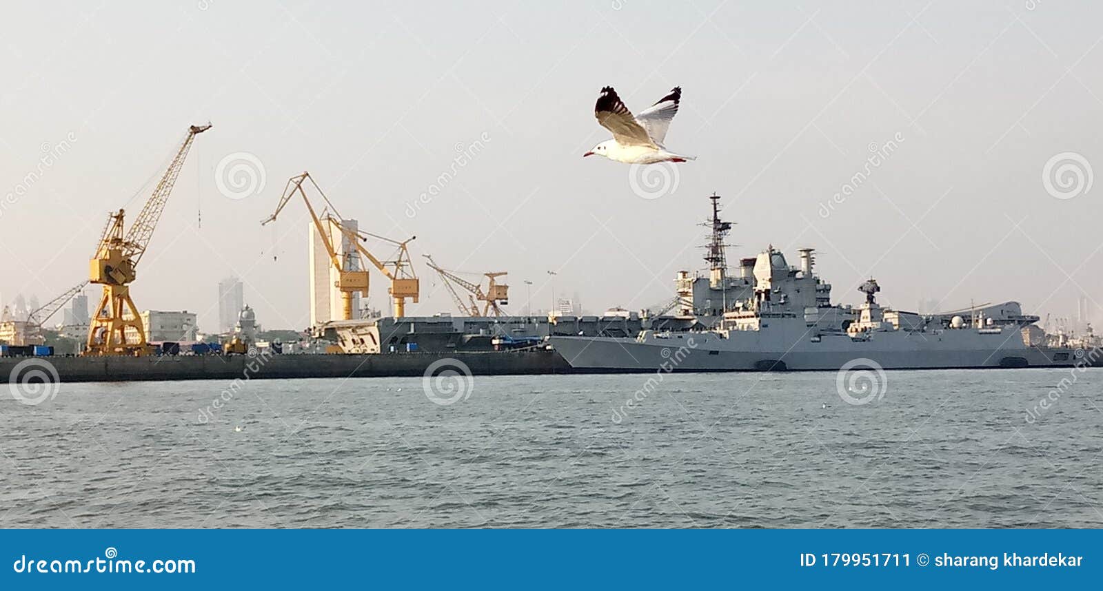 Ship Watercraft Water Ship Navy Bird Stock Image - Image of bird ...