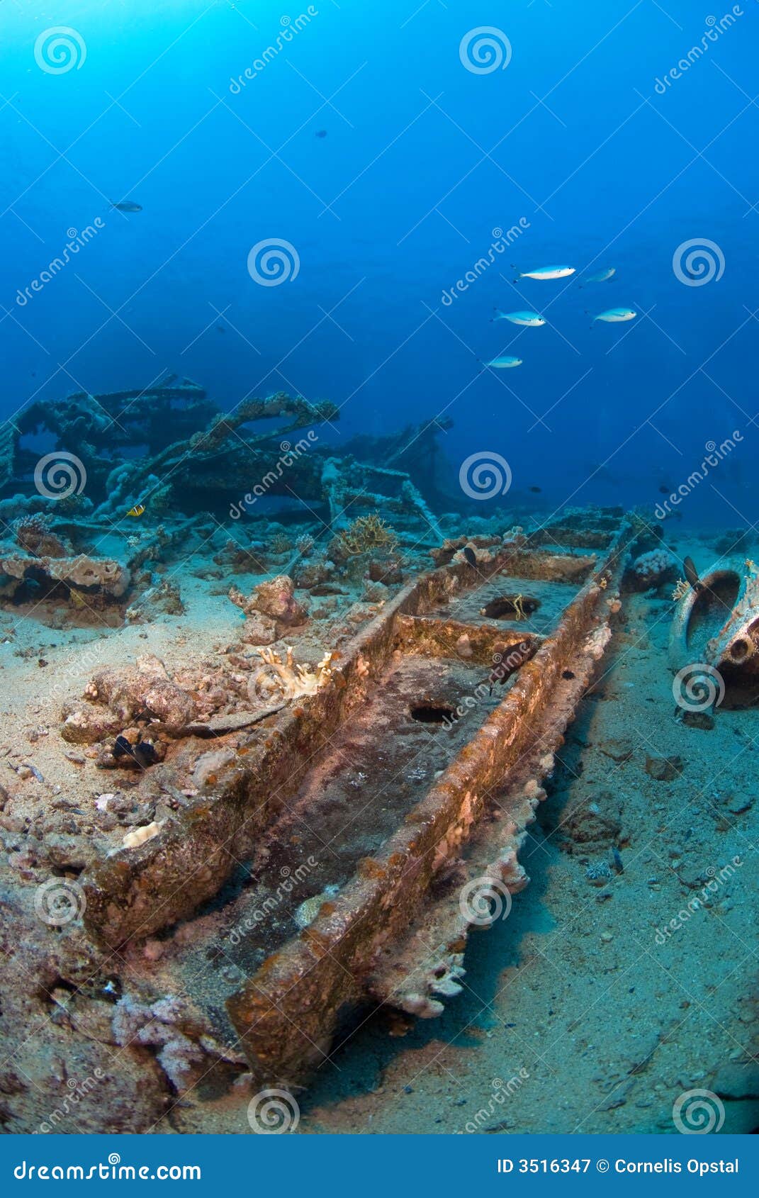 Ship wreck stock image. Image of egypt, life, fish, wreck - 3516347