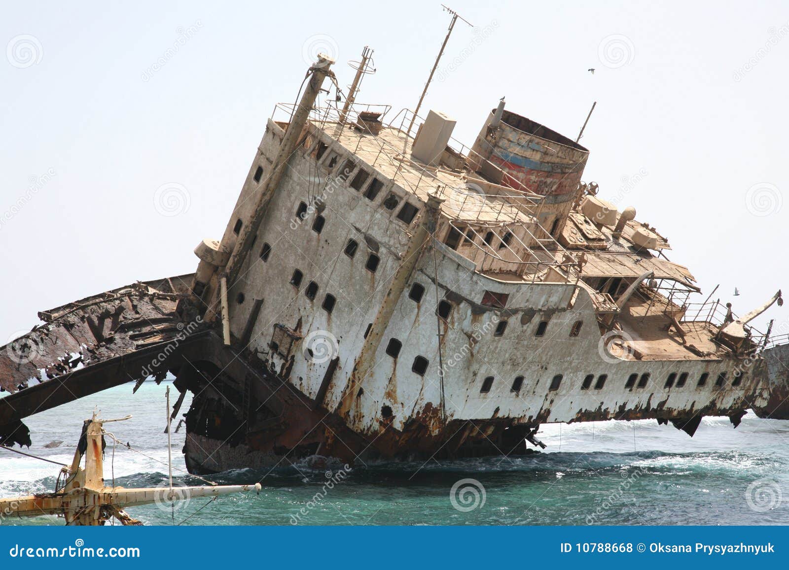 Ship Wreck in Red sea stock photo. Image of derelict - 10788668