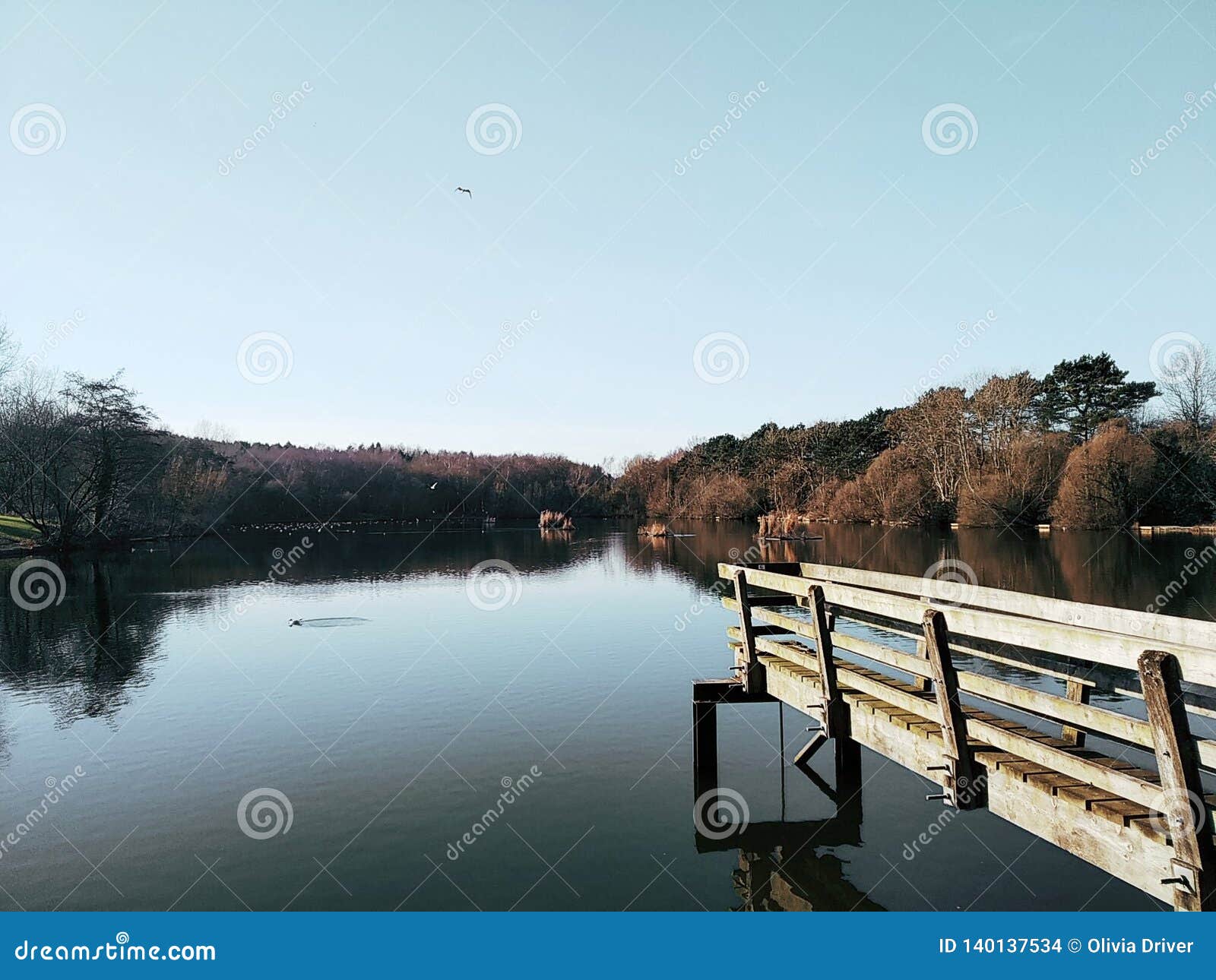 Shipley Country Park stock photo. Image of shipley, beautiful - 140137534