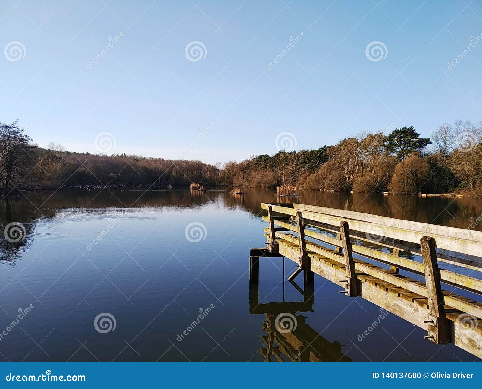 Shipley Country Park stock photo. Image of shipley, park - 140137600