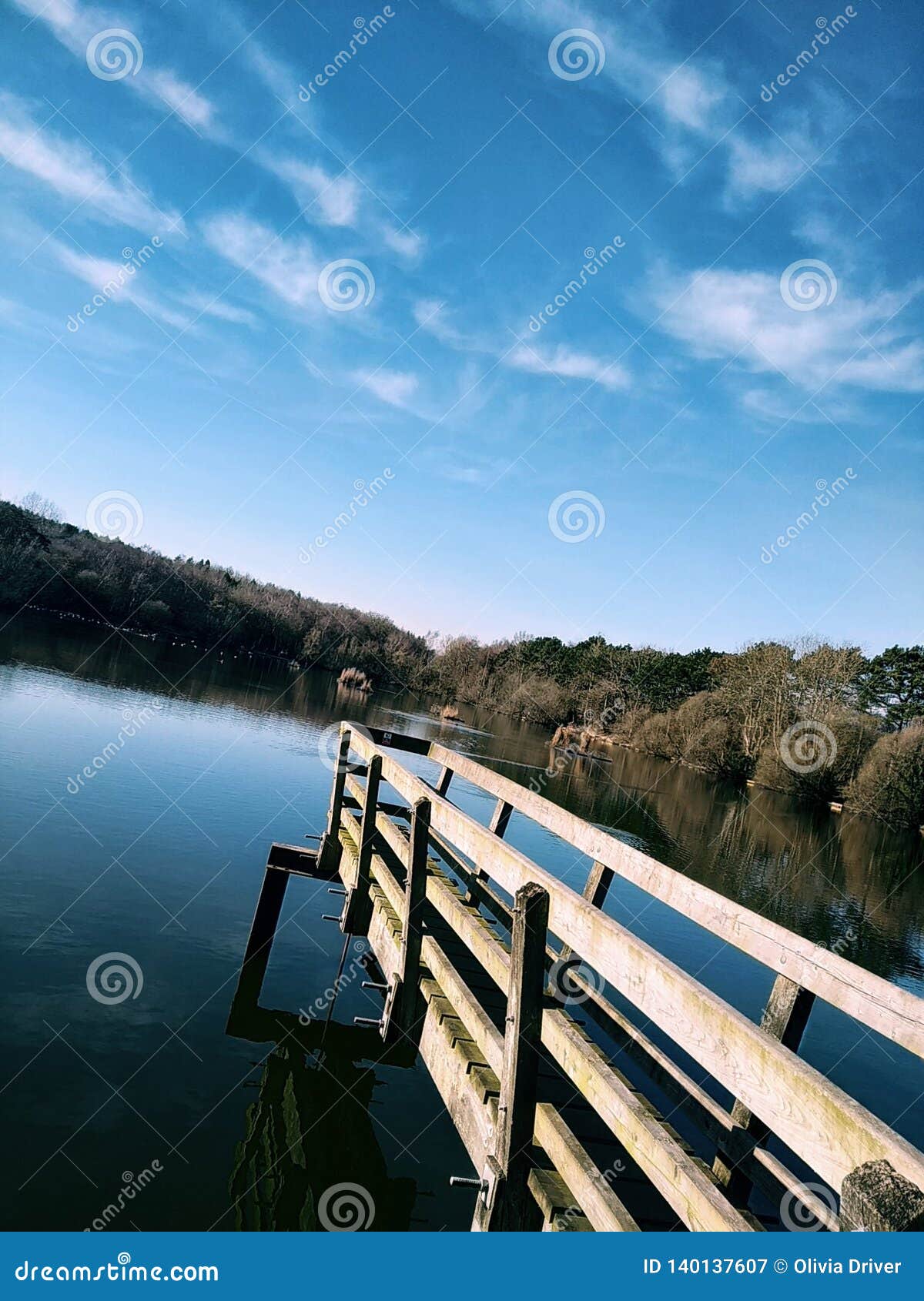 Shipley Country Park stock image. Image of shipley, park - 140137607