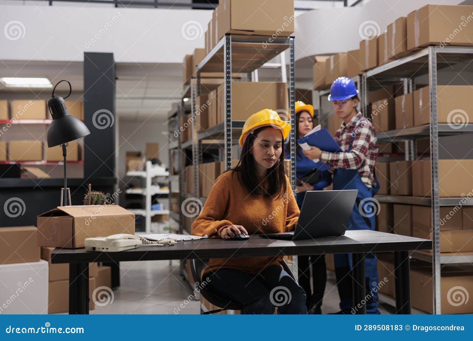 Shipment Service Worker Checking Warehouse Products Management System ...
