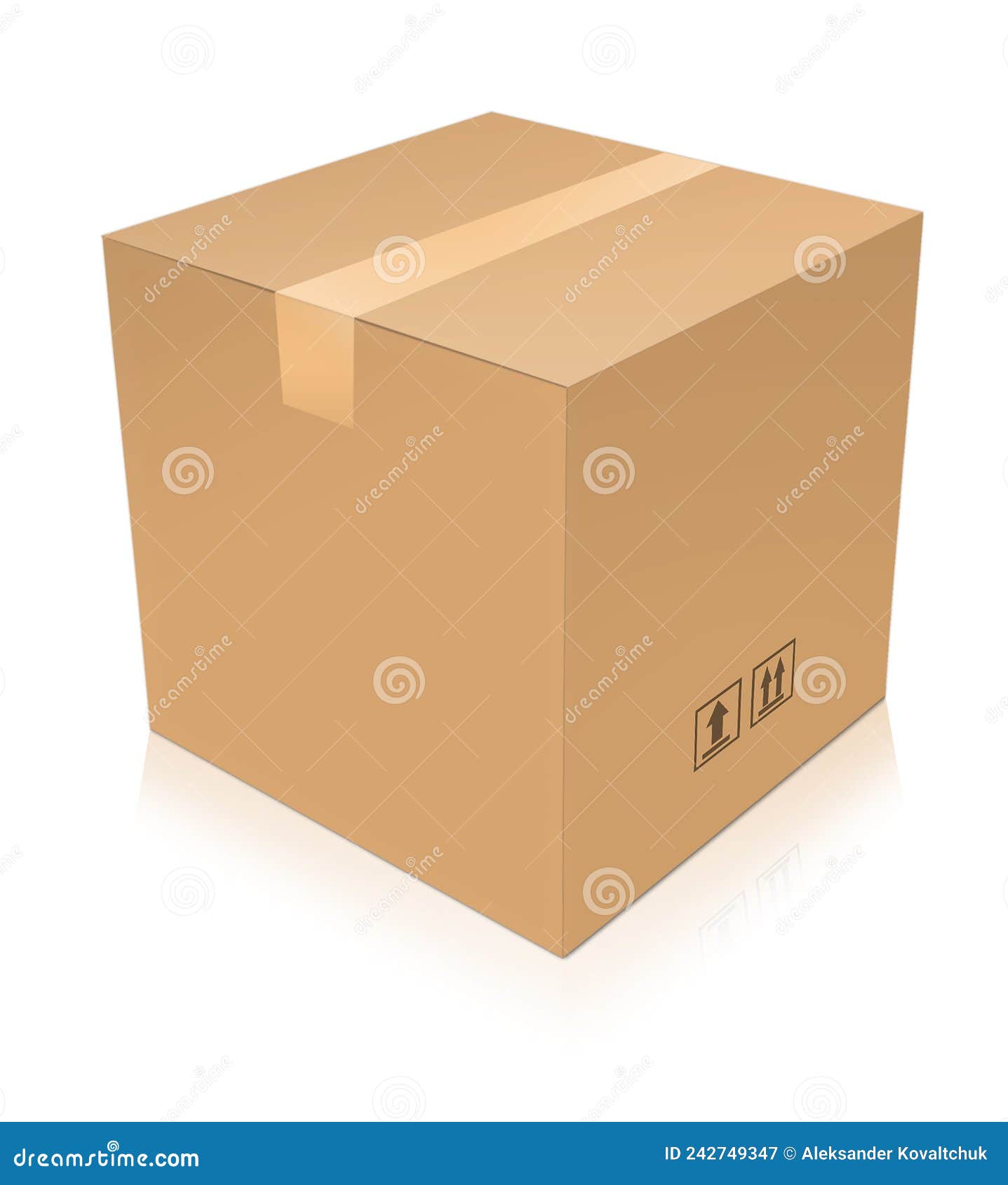Shipping Box Blank Template for Presentation Layouts and Design Stock ...