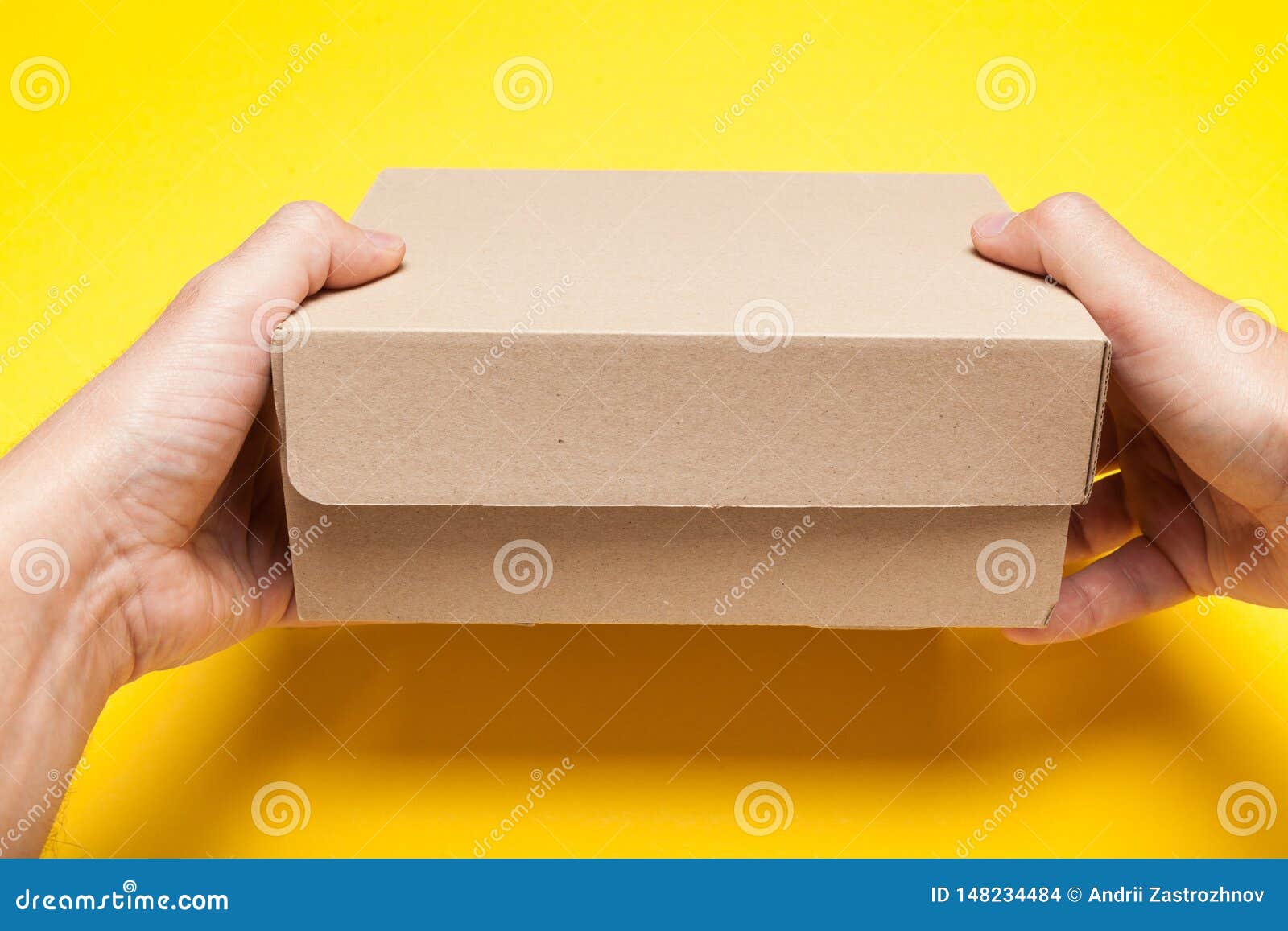 Shipping Delivery Box in Hands, Catron Package Stock Photo - Image of ...