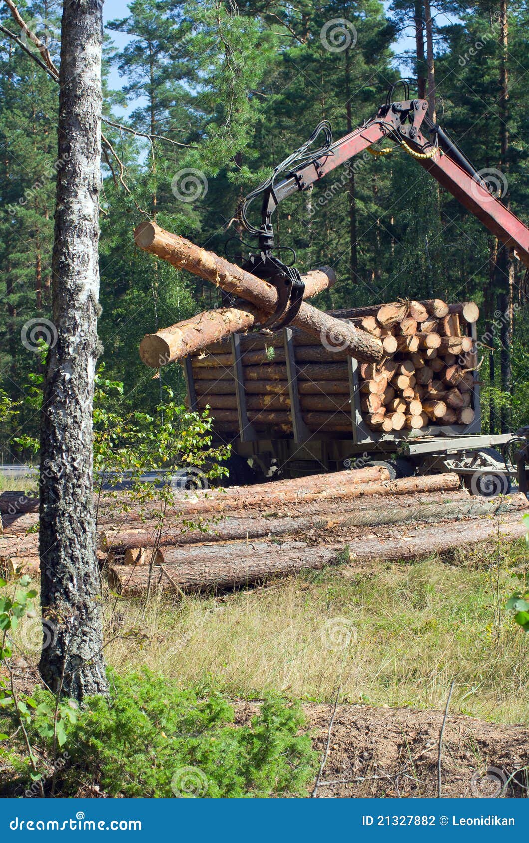 Shipping timber stock photo. Image of forest, pile, supply - 21327882