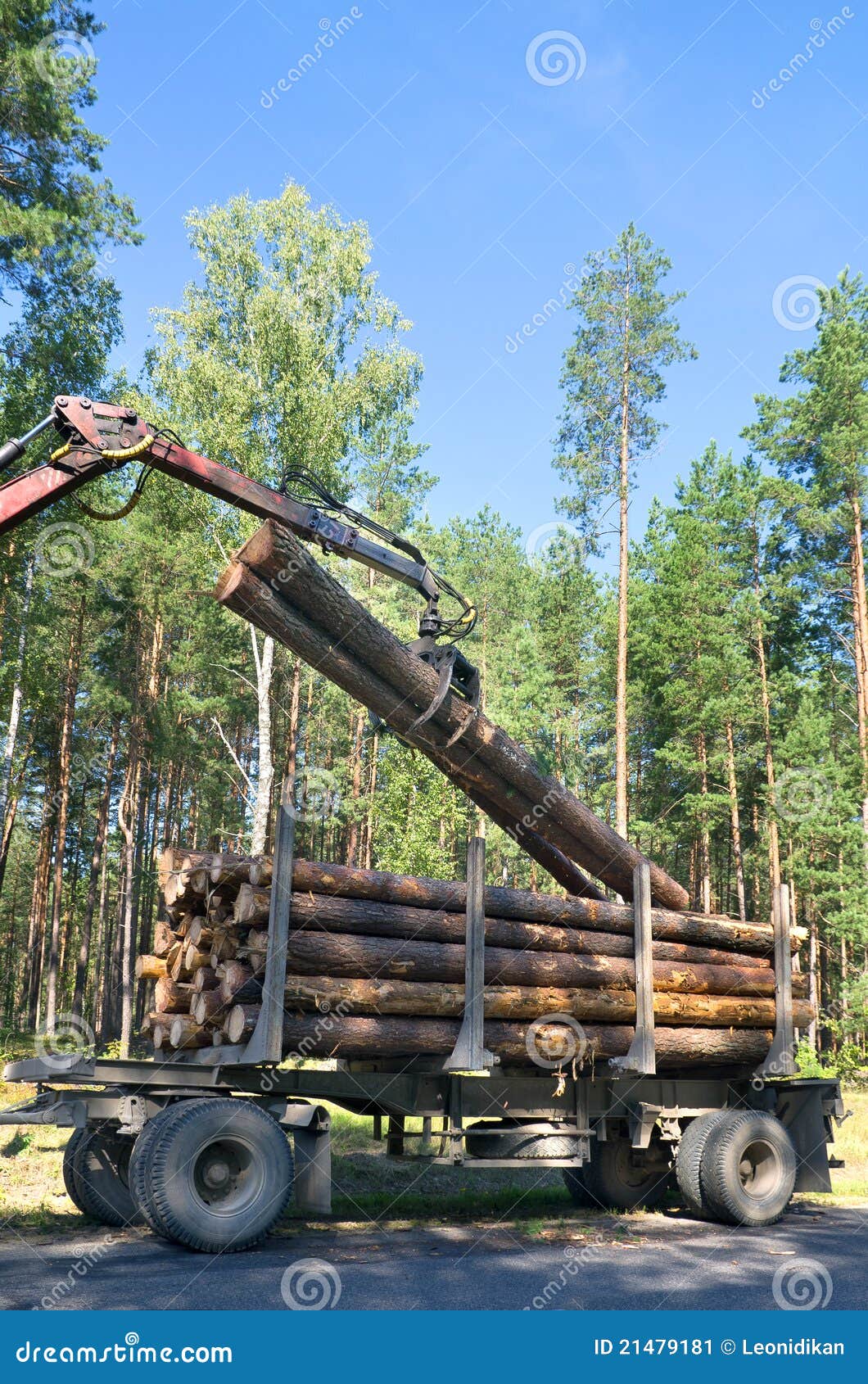 Shipping timber stock image. Image of machinery, lifting - 21479181