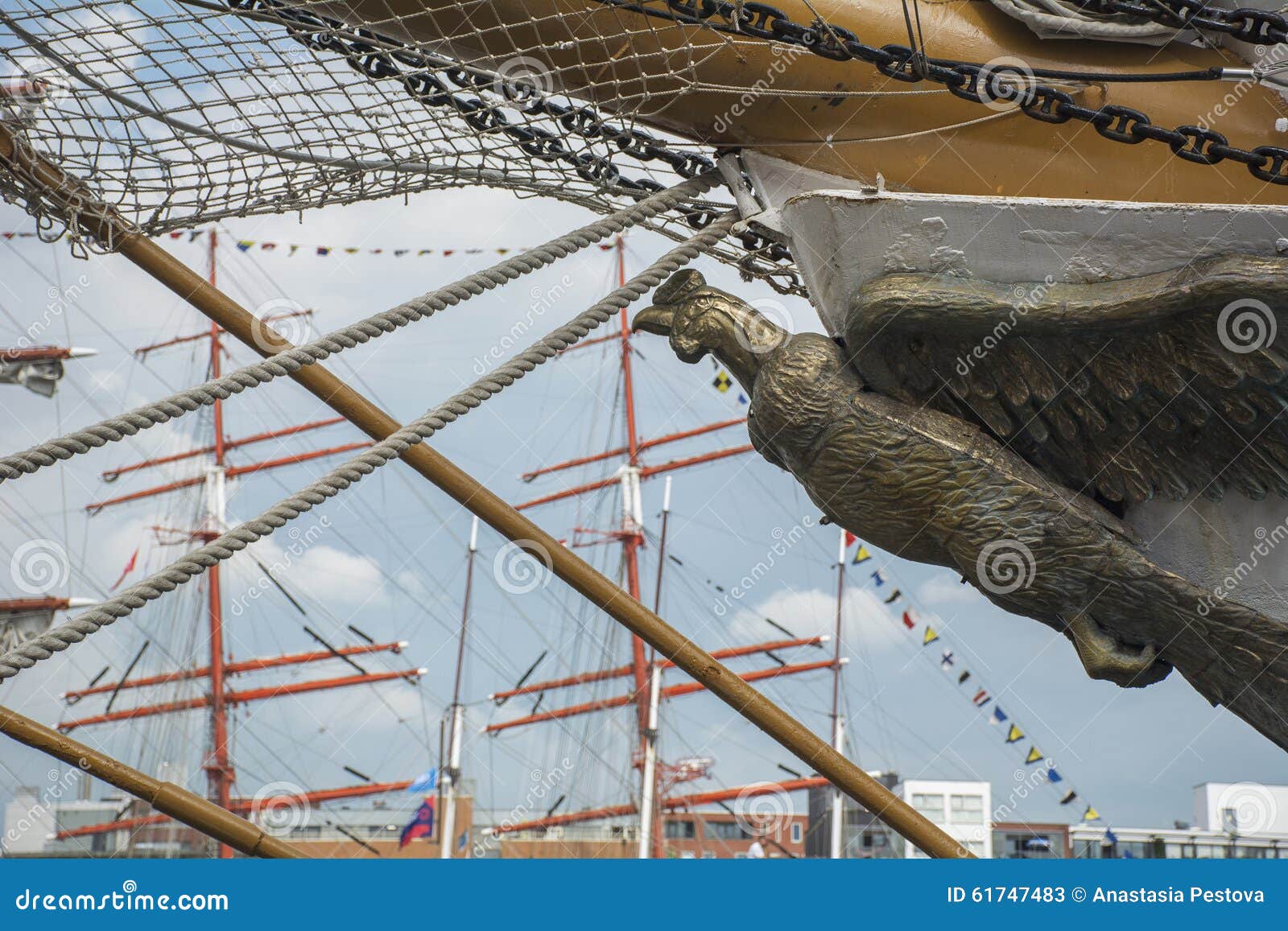 Ships bow as a bird stock image. Image of boat, transport - 61747483