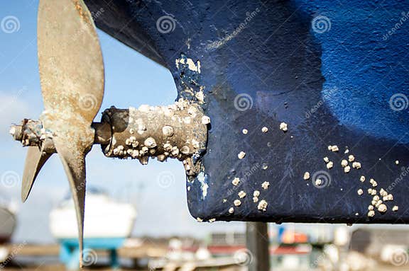 Ships Propeller and Barnacles Stock Photo - Image of barnacles, ship ...