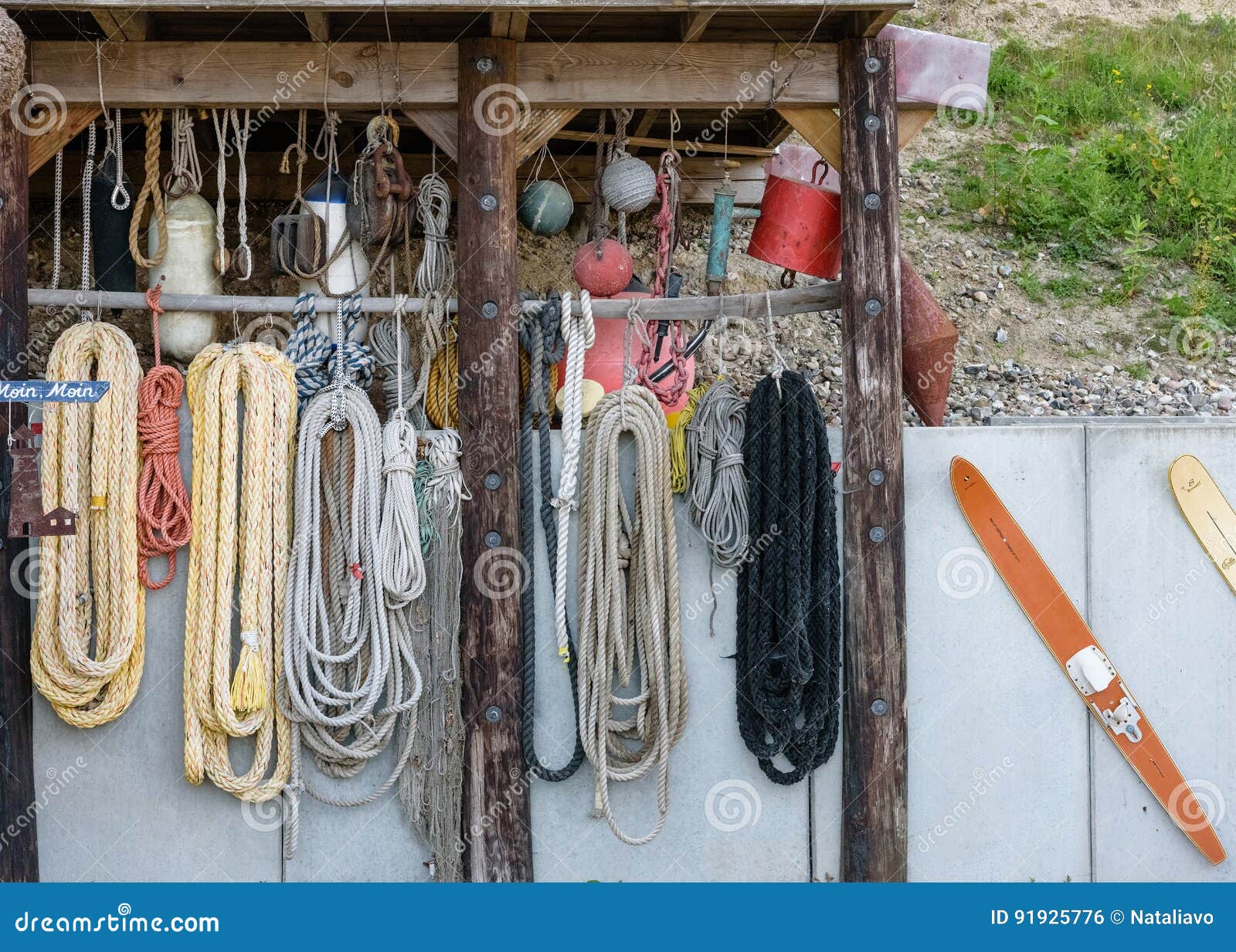 Rope Ladder Fish Tank at Autumn Allen blog