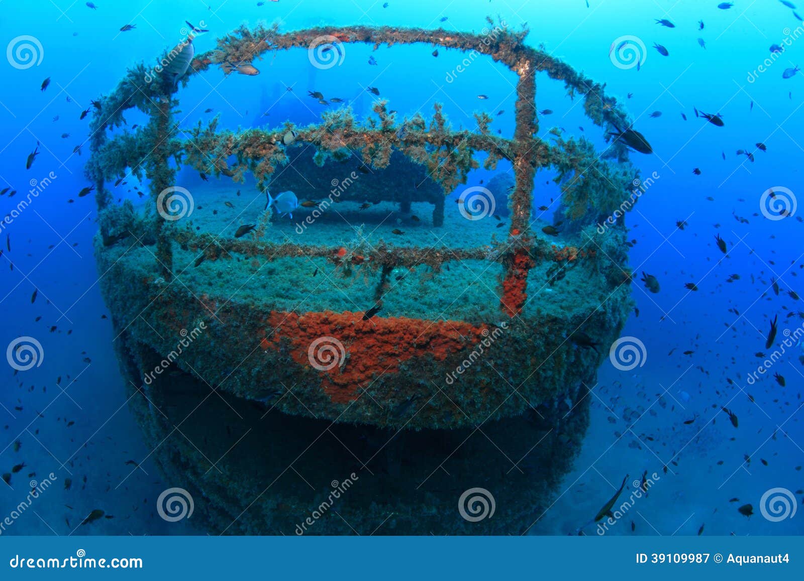 Shipwreck and fish stock image. Image of islands, diving - 39109987