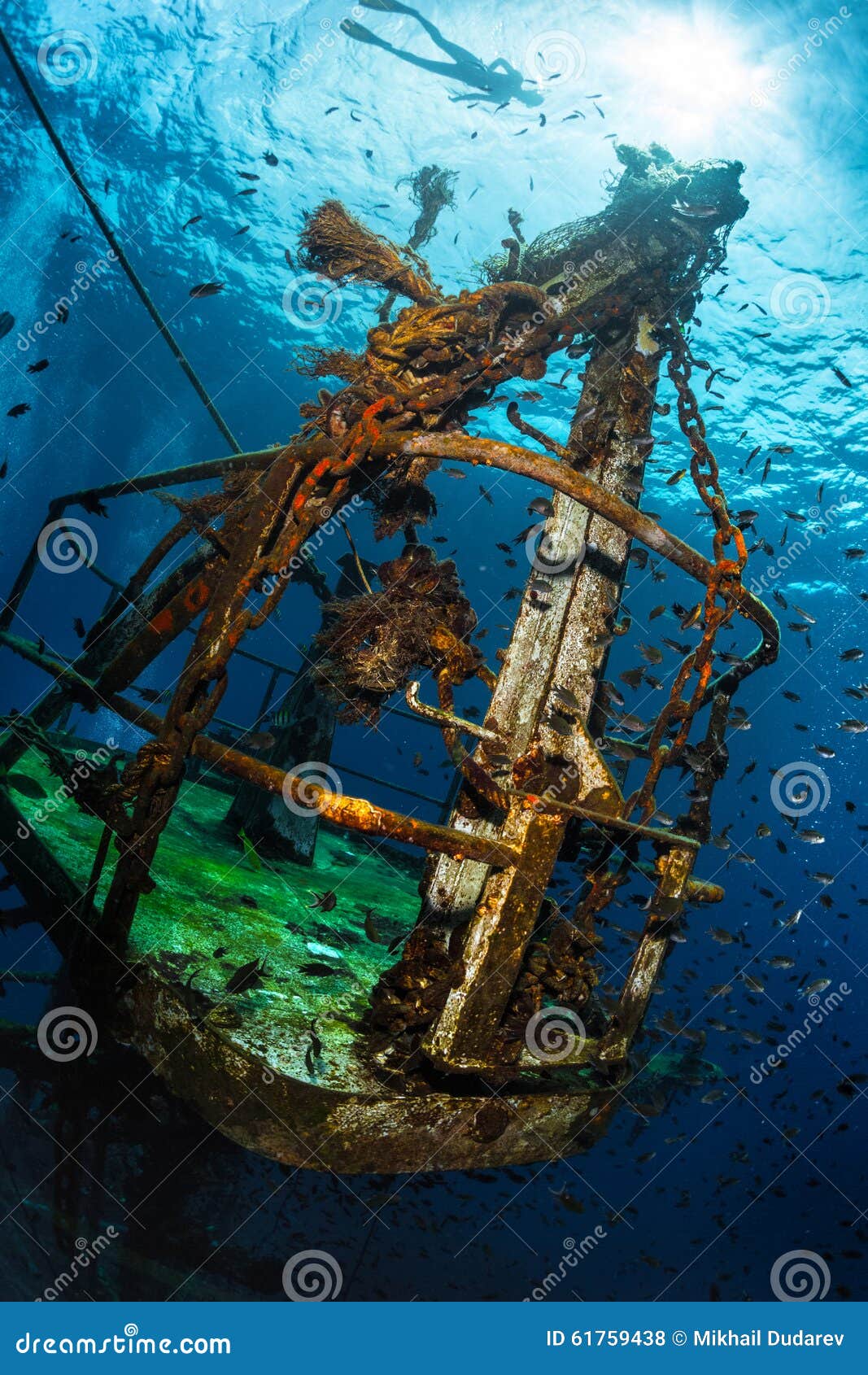 Shipwreck with fish stock photo. Image of metal, corrosion - 61759438