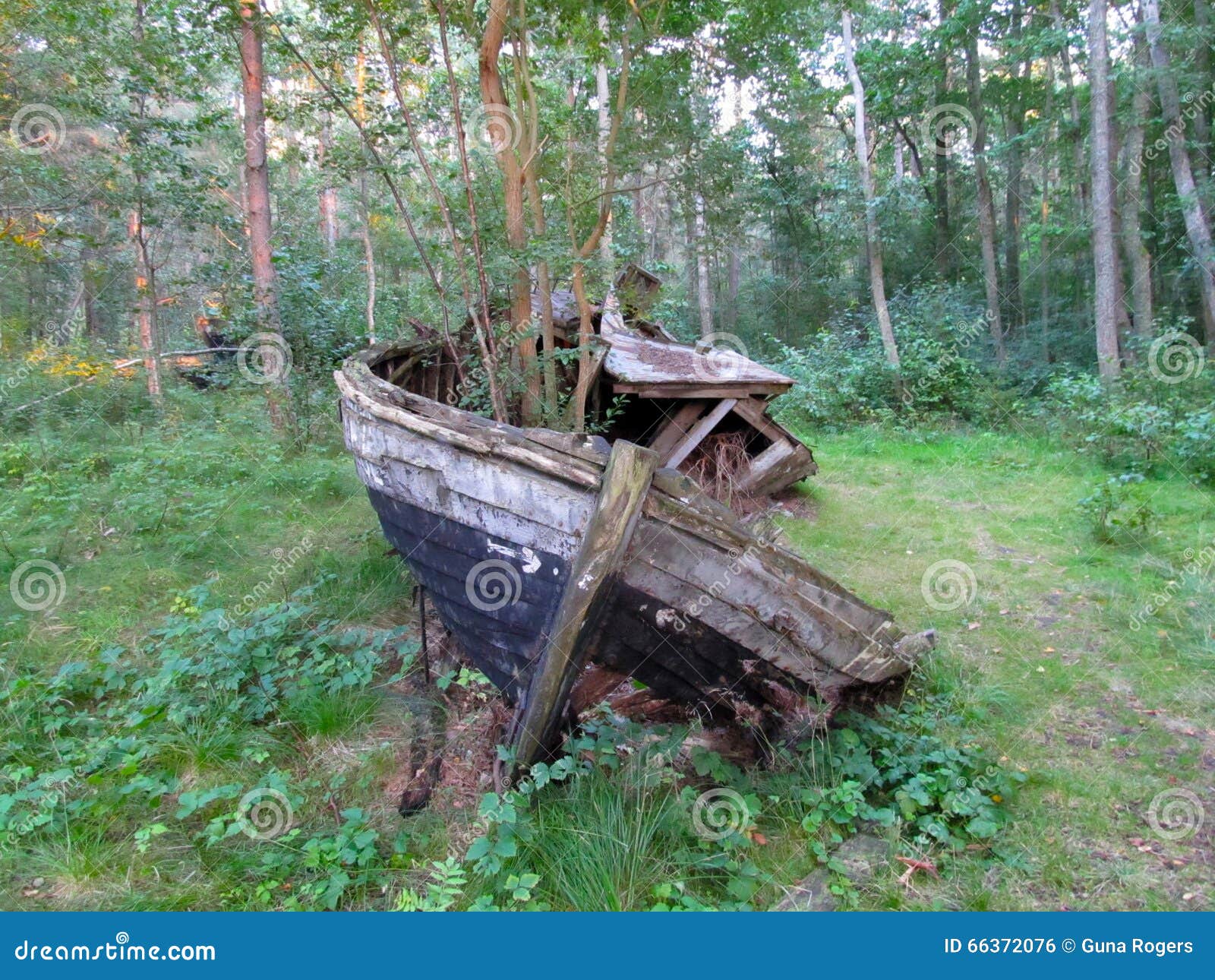 Shipwreck in forest stock photo. Image of shipwreck, forest - 66372076