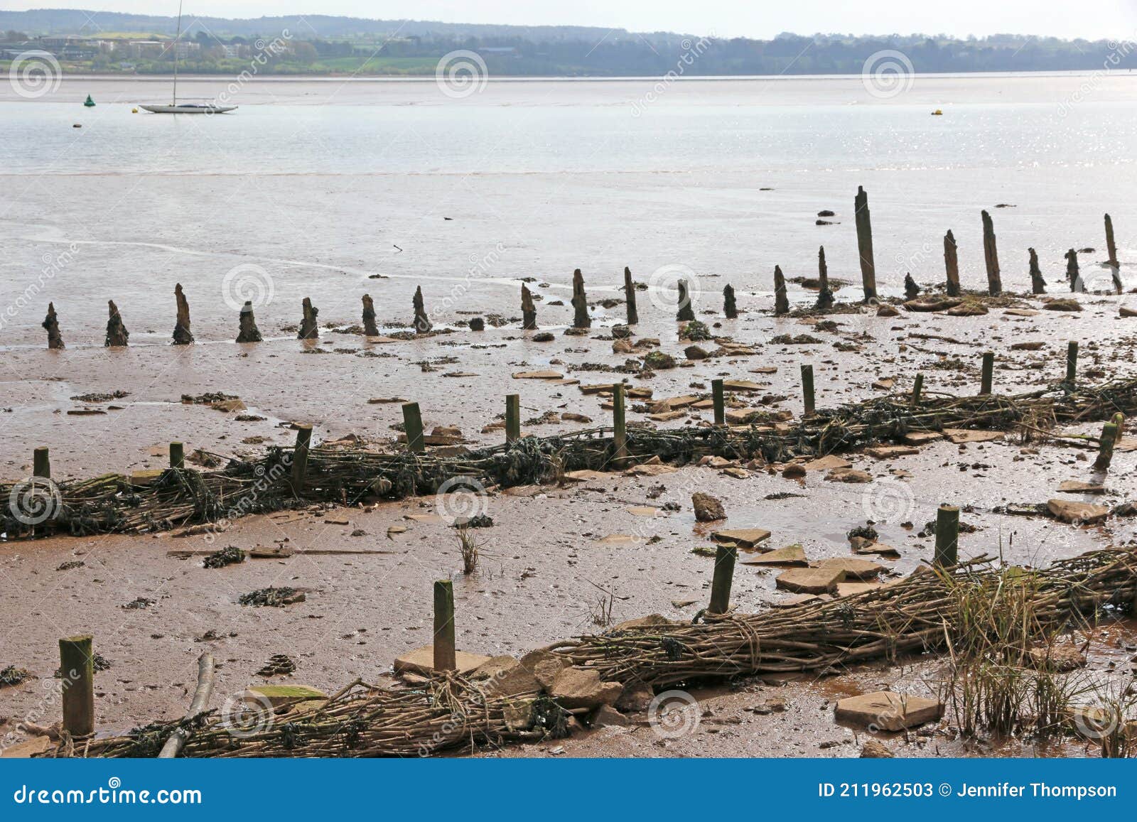 Shipwreck on the River Exe Estuary in Devon Stock Image - Image of ...
