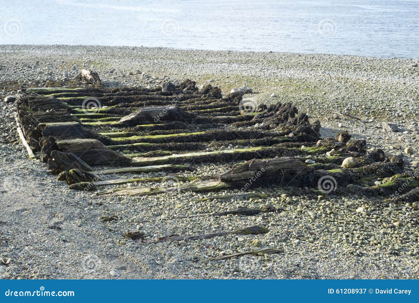 Boat shipwreck skeleton stock image. Image of remains - 61208937