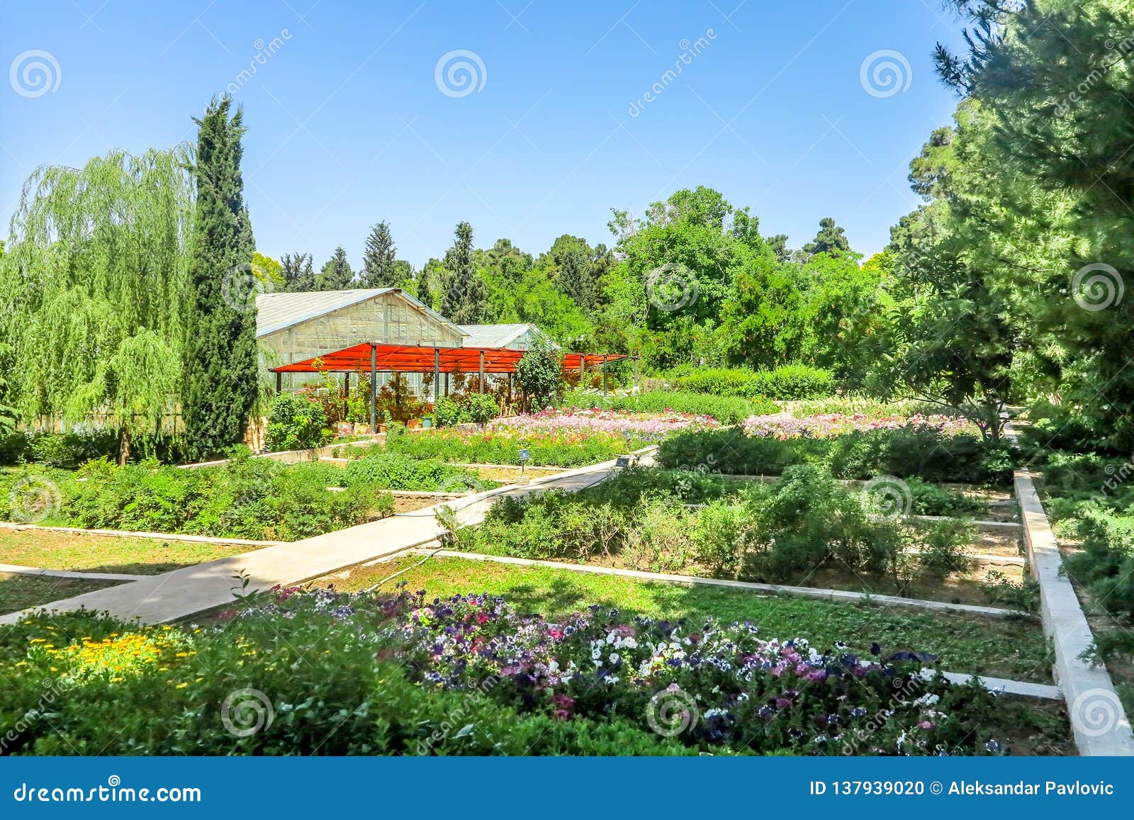 Shiraz Eram Garden 03 stock photo. Image of fars, iranian - 137939020