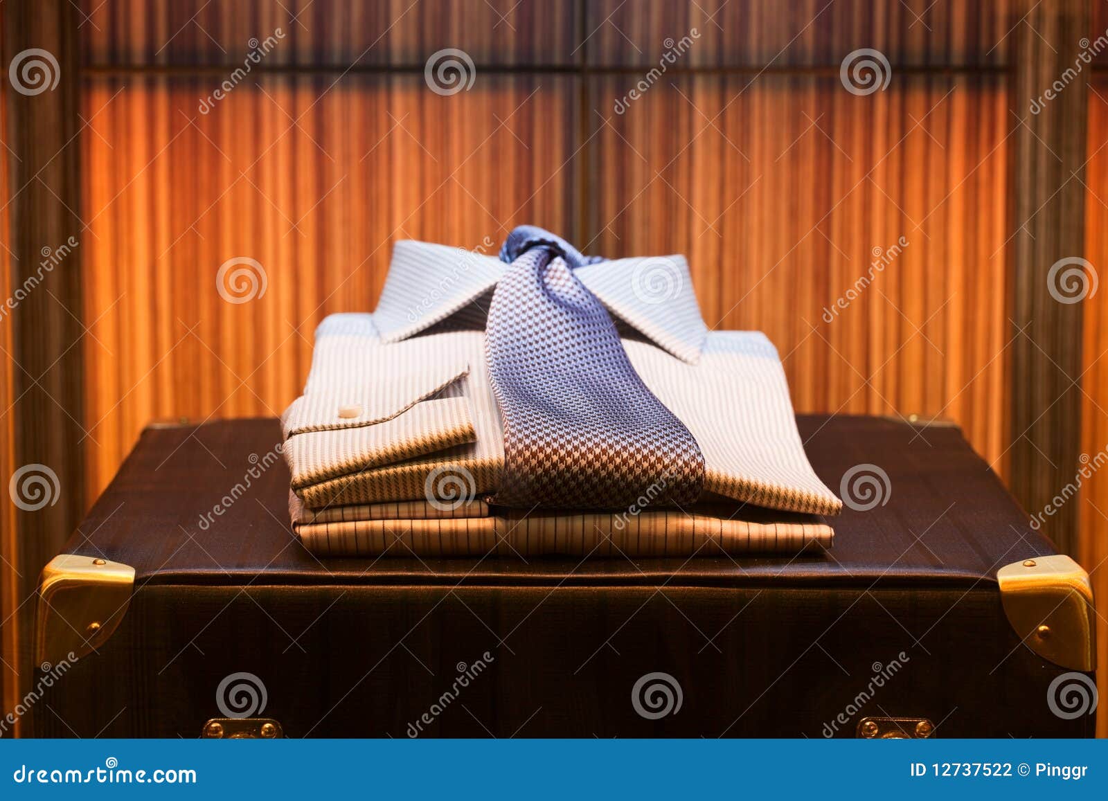 104 Suitcase Leather Structure Stock Photos - Free & Royalty-Free Stock ...