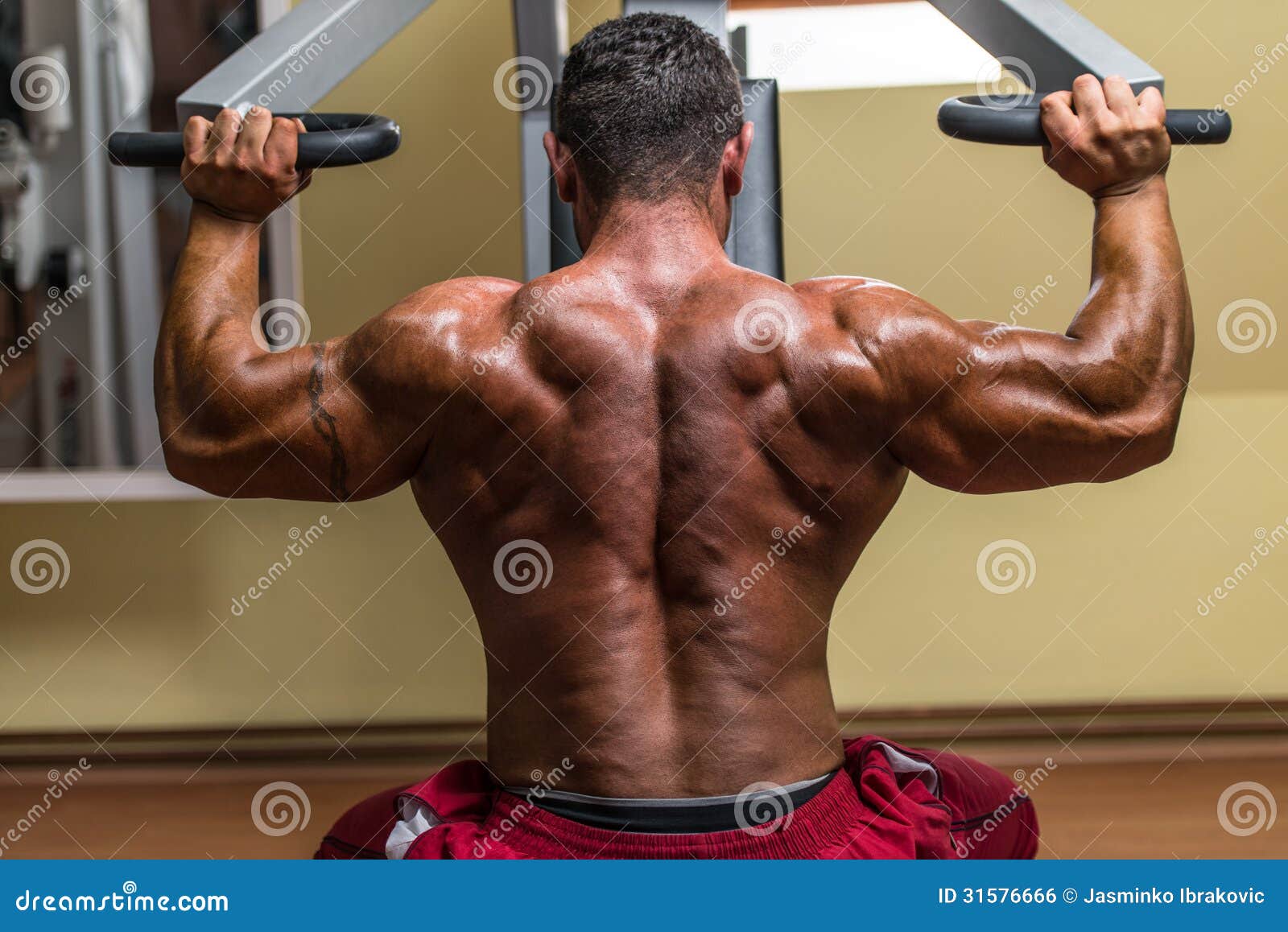 Shirtless Body Builder Doing Military Press for Shoulder Stock Photo ...