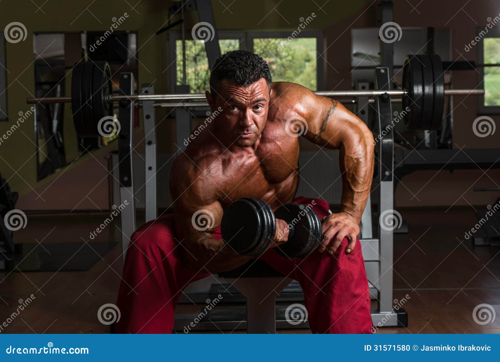 Shirtless Bodybuilder Doing Heavy Weight Exercise for Biceps Stock ...