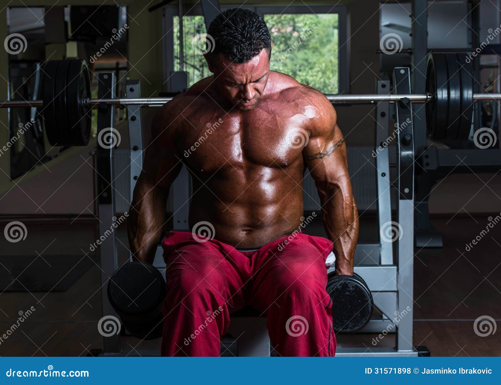 Shirtless Bodybuilder Doing Heavy Weight Exercise for Biceps Stock ...