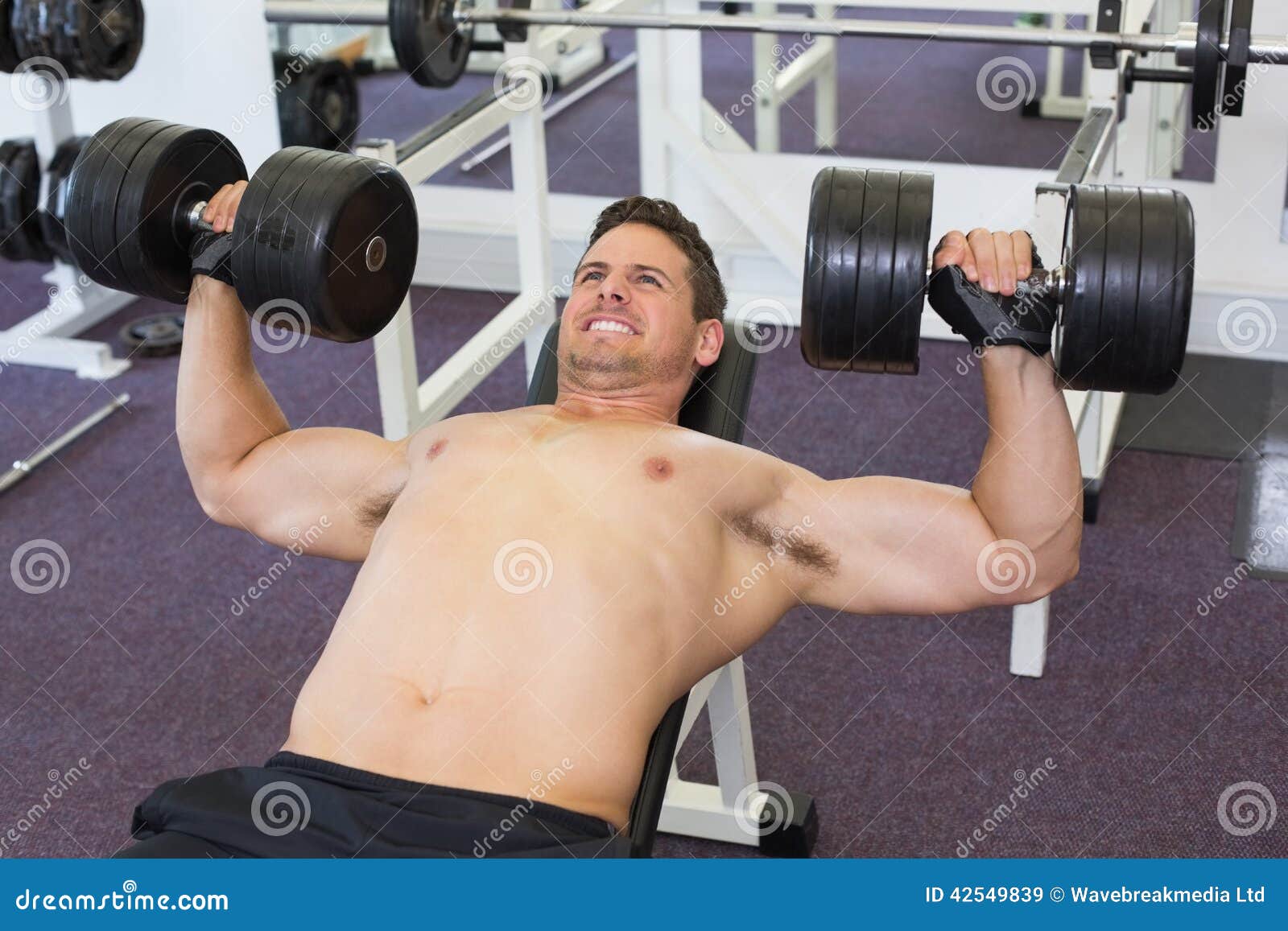 Shirtless Bodybuilder Lifting Heavy Dumbbells Lying on Bench Stock ...