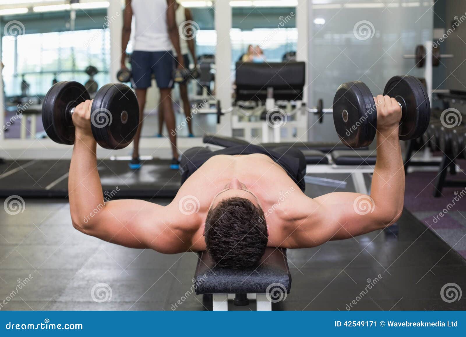 Shirtless Bodybuilder Lying on Bench Lifting Heavy Dumbbells Stock ...