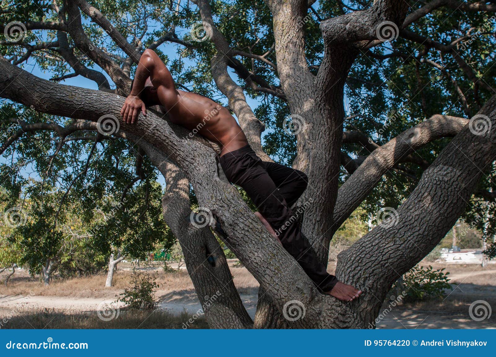 Shirtless male model stock photo. Image of pectoral, sunbathing - 95764220
