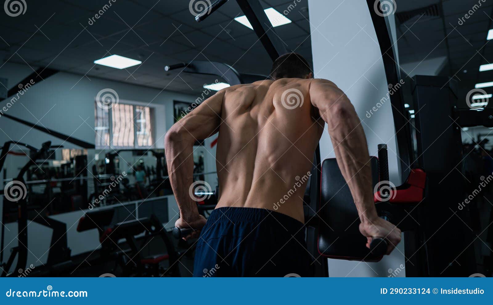 Shirtless Man Doing Triceps Dips from Parallel Bars in Gym. Stock Photo ...