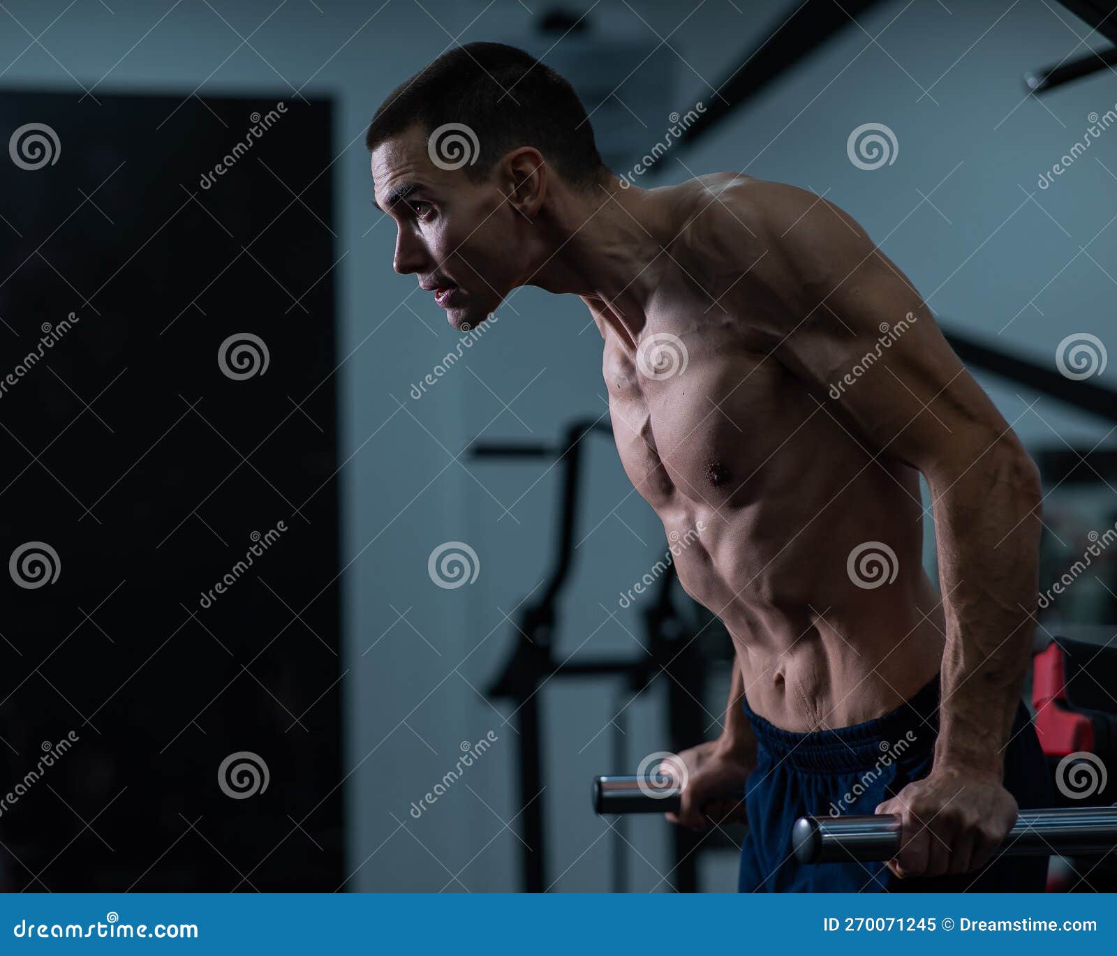 Shirtless Man Doing Triceps Dips from Parallel Bars in Gym. Stock Image ...
