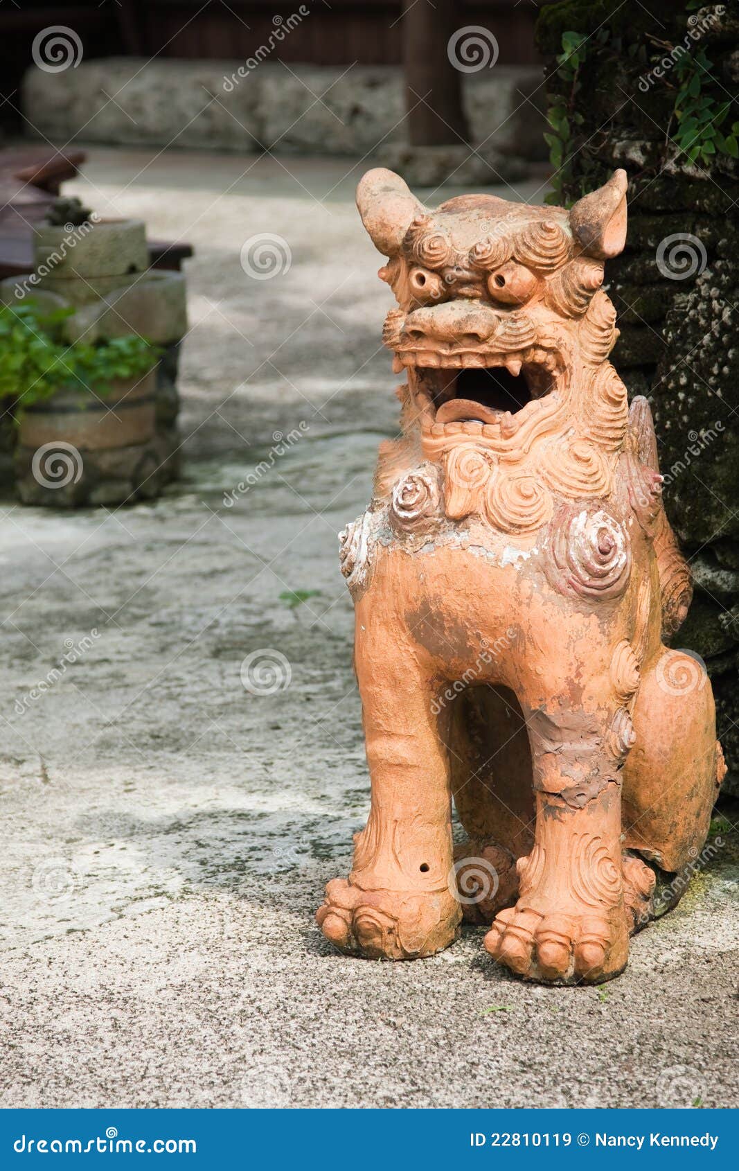 Shisa stock image. Image of guardian, protection, shishi - 22810119