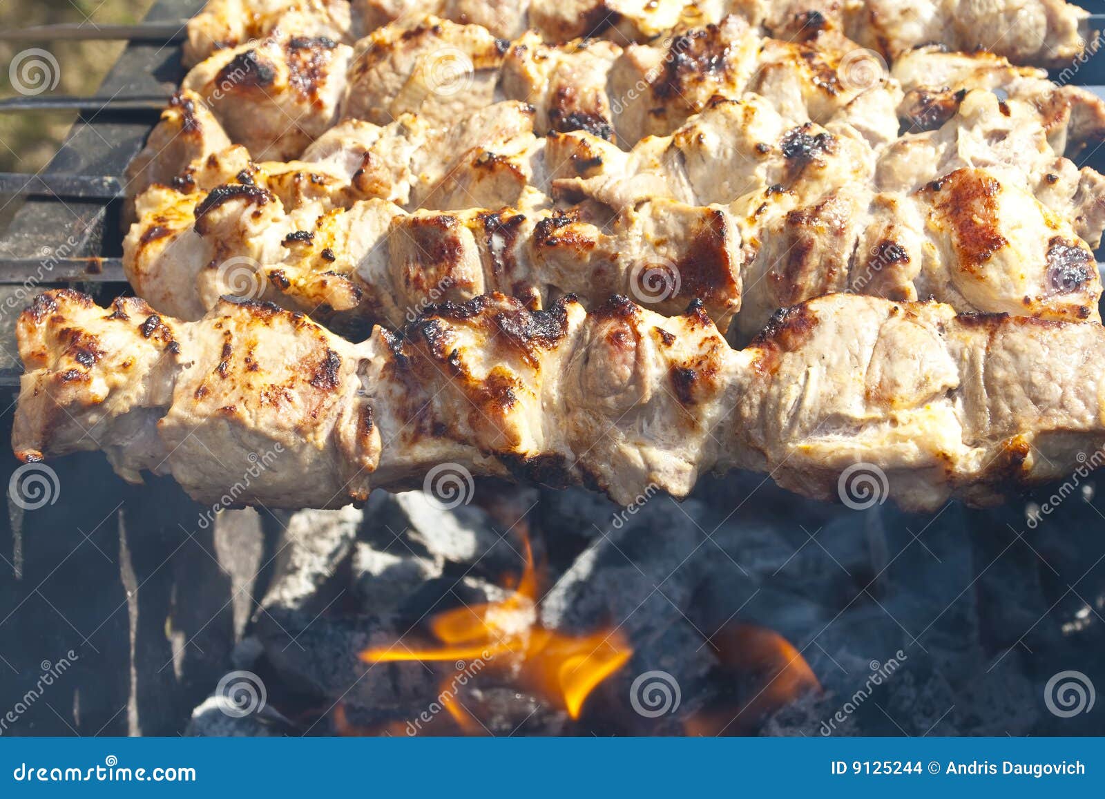 Shish kebab on the grill stock photo. Image of eating - 9125244